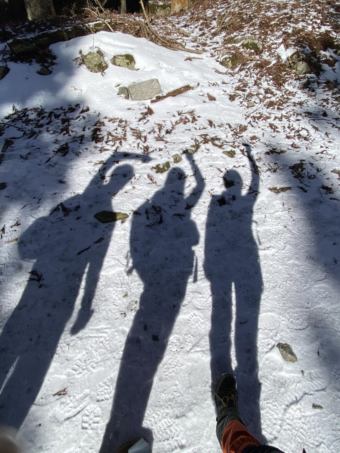 愛宕山 / Meiさんの愛宕山・三頭山・朝日峯の活動データ | YAMAP / ヤマップ
