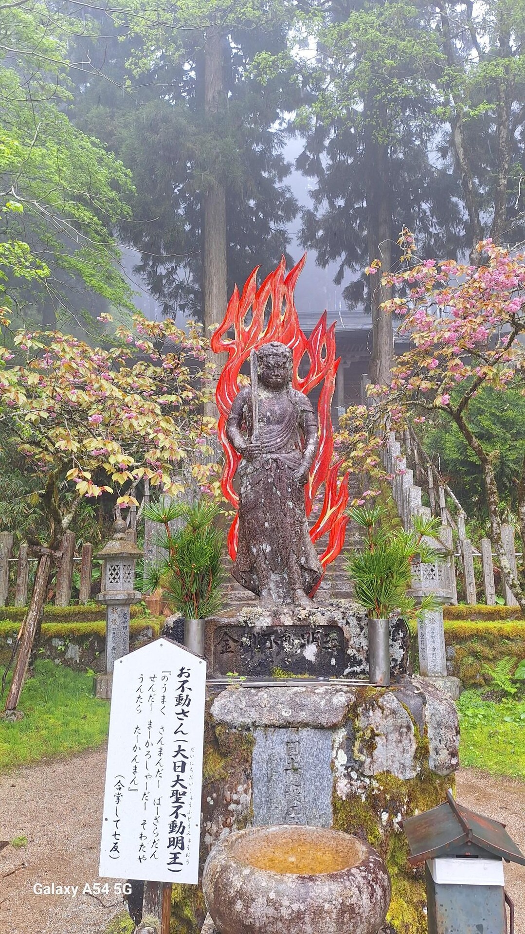 金剛山・葛木岳 / Bigさんの金剛山・二上山・大和葛城山の活動データ | YAMAP / ヤマップ