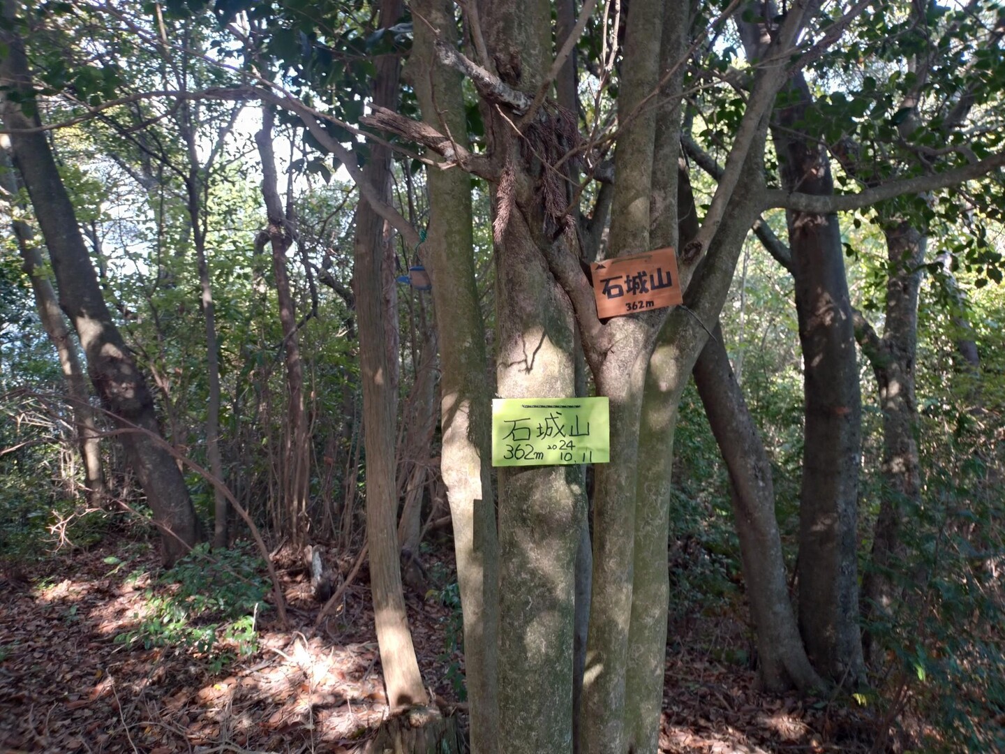 大峰・石城山・月ヶ峰・鶴ヶ峰 / VDGGさんの石城山・行者山・大平山の活動データ | YAMAP / ヤマップ