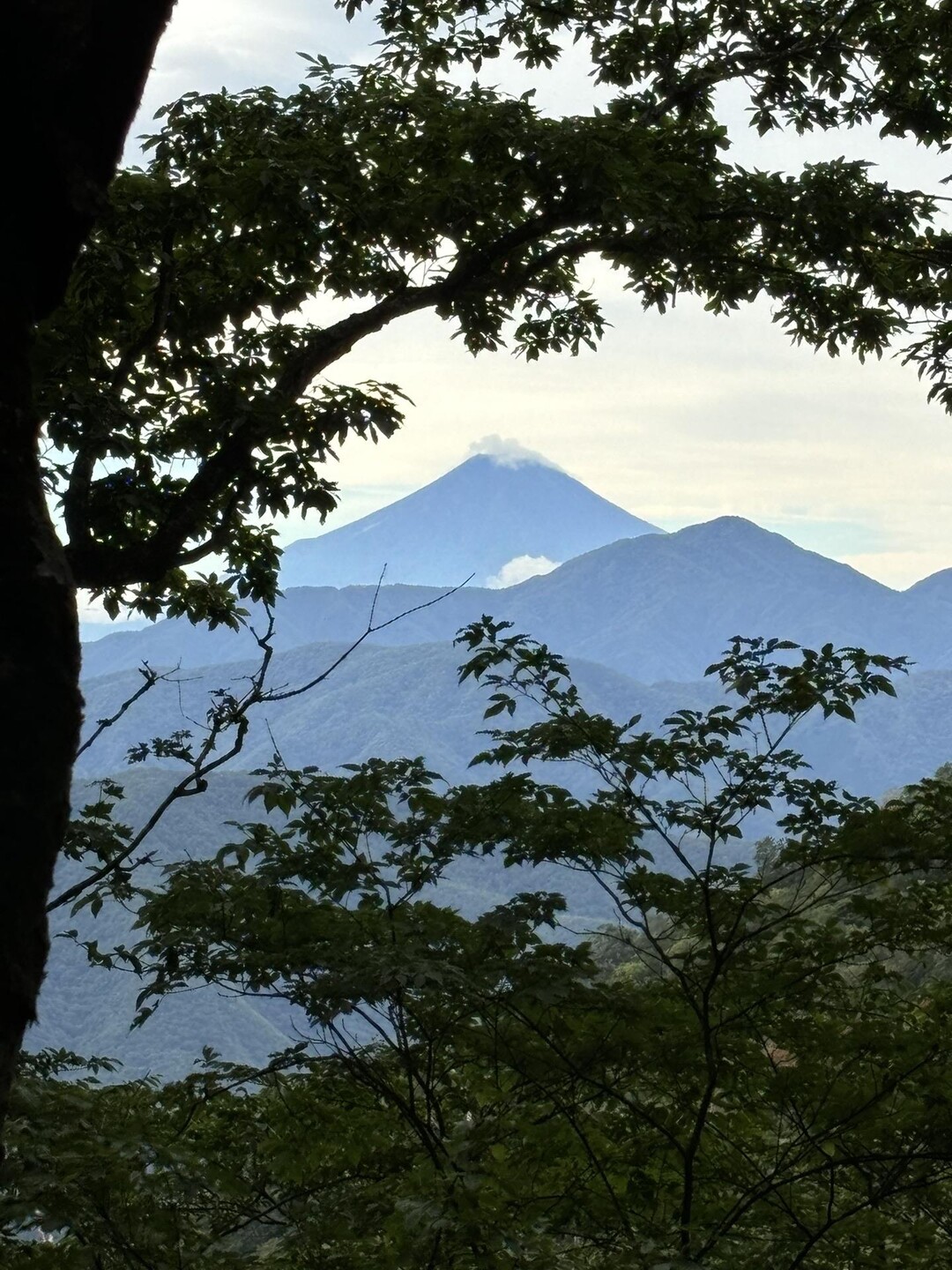 雲取山 ピストン / asuさんの雲取山・鷹ノ巣山・七ツ石山の活動データ | YAMAP / ヤマップ