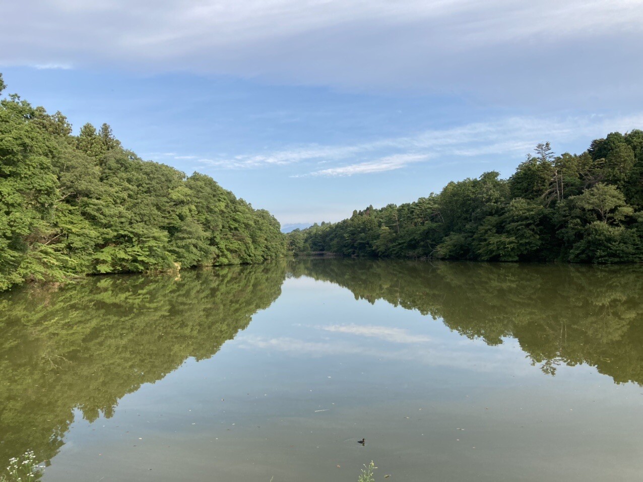 おはようございます。 今朝は秋の薄い雲... / OBsunさんのモーメント | YAMAP / ヤマップ