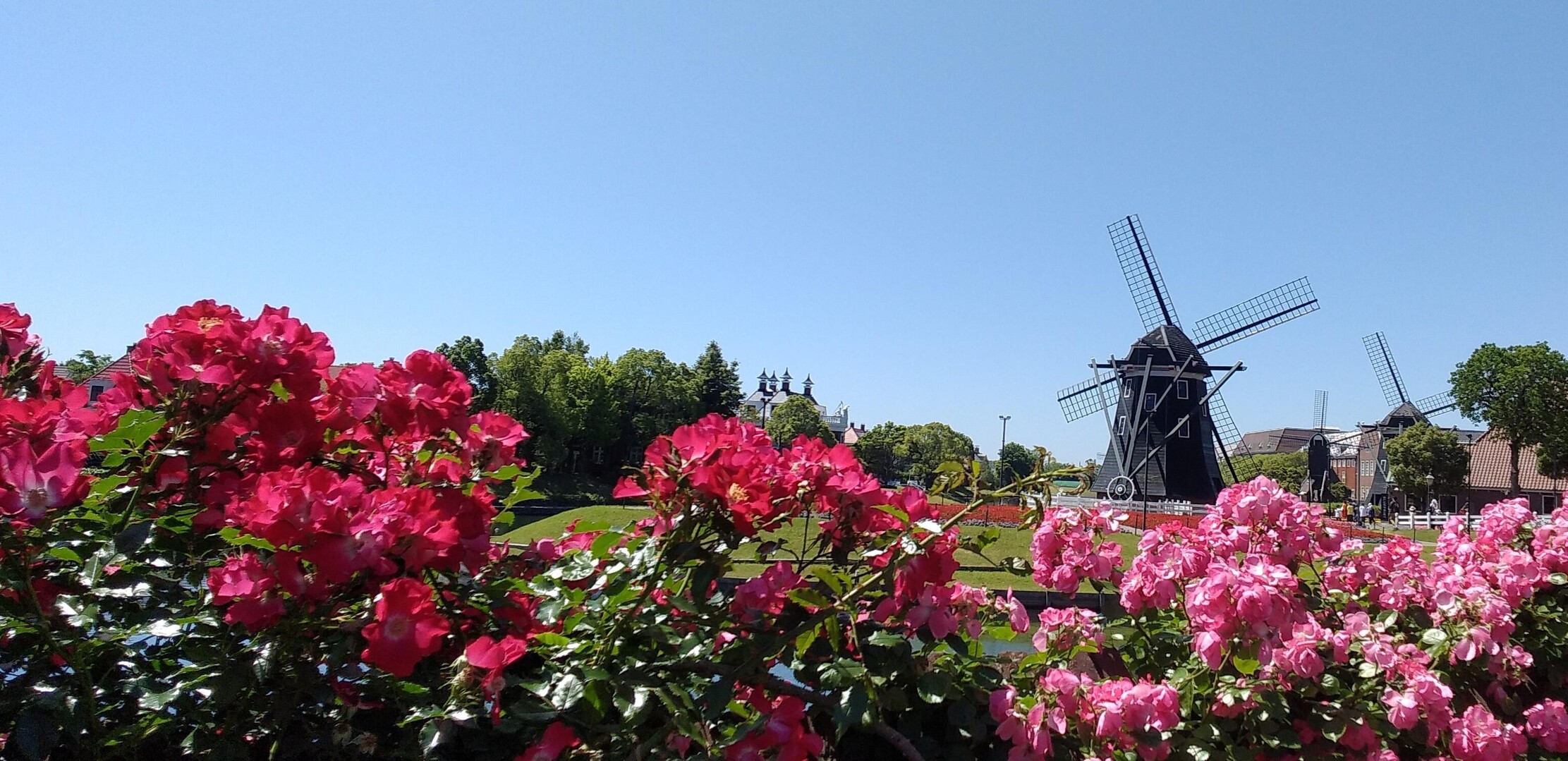 薔薇咲くハウステンボスを 散策してきまし... / akkoさんのモーメント | YAMAP / ヤマップ