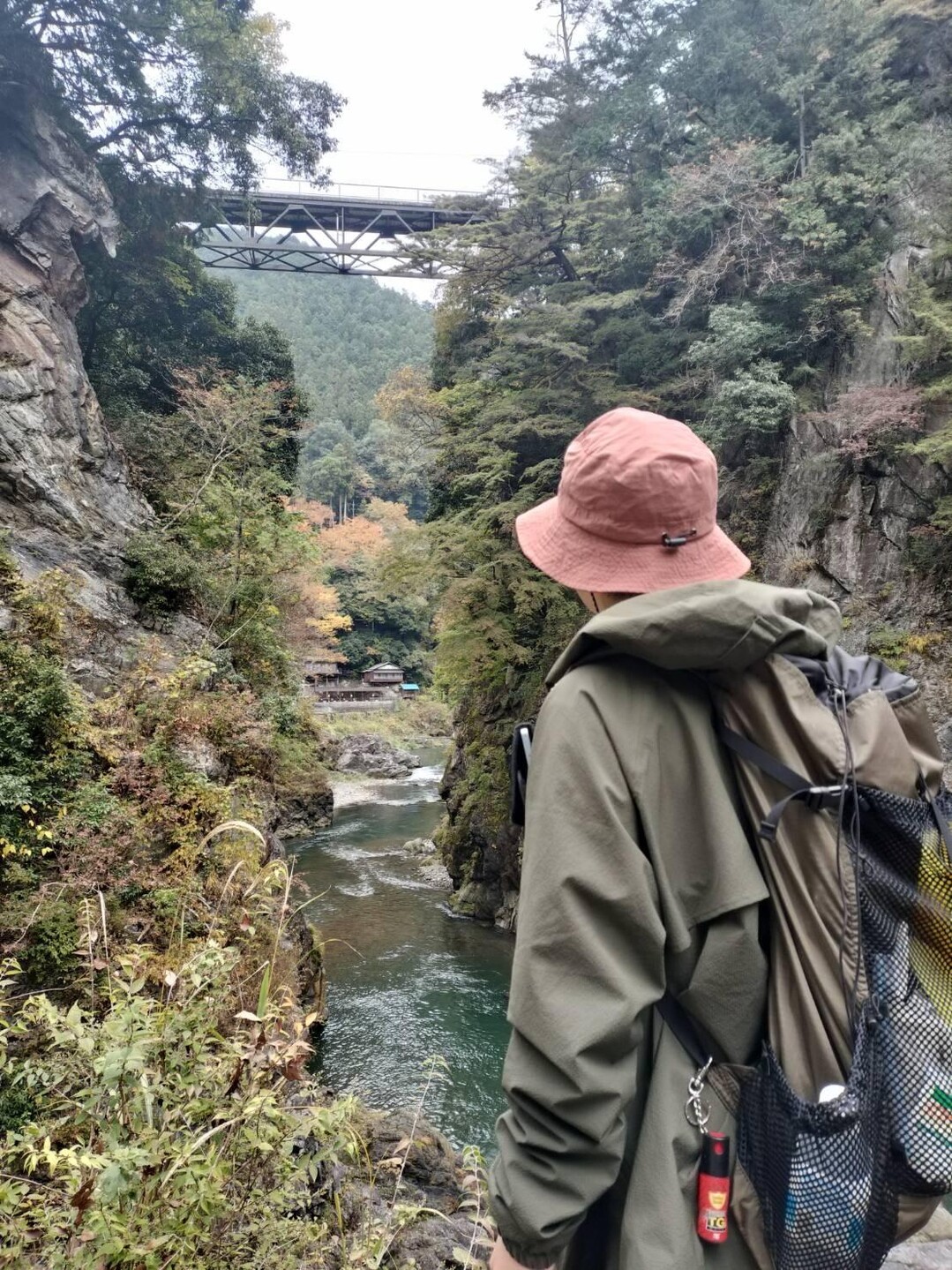 奥多摩ウォーキング / tomoeさんの川苔山（川乗山）の活動データ | YAMAP / ヤマップ