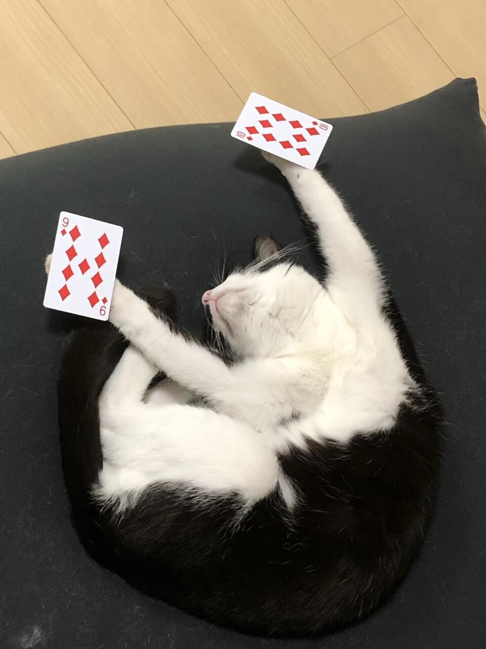 QOOのページ | YAMAP / ヤマップ