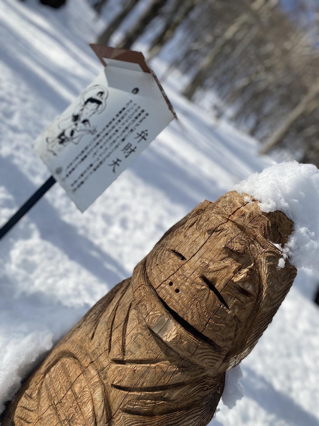 葛老山 / yu-yakeさんの明神ヶ岳の活動データ | YAMAP / ヤマップ