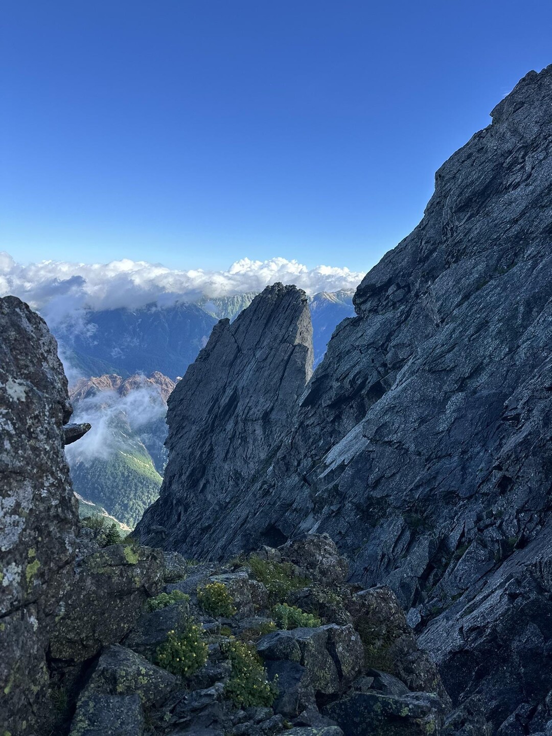 槍ヶ岳と山々を望む / コウさんの槍ヶ岳・穂高岳・上高地の活動データ | YAMAP / ヤマップ