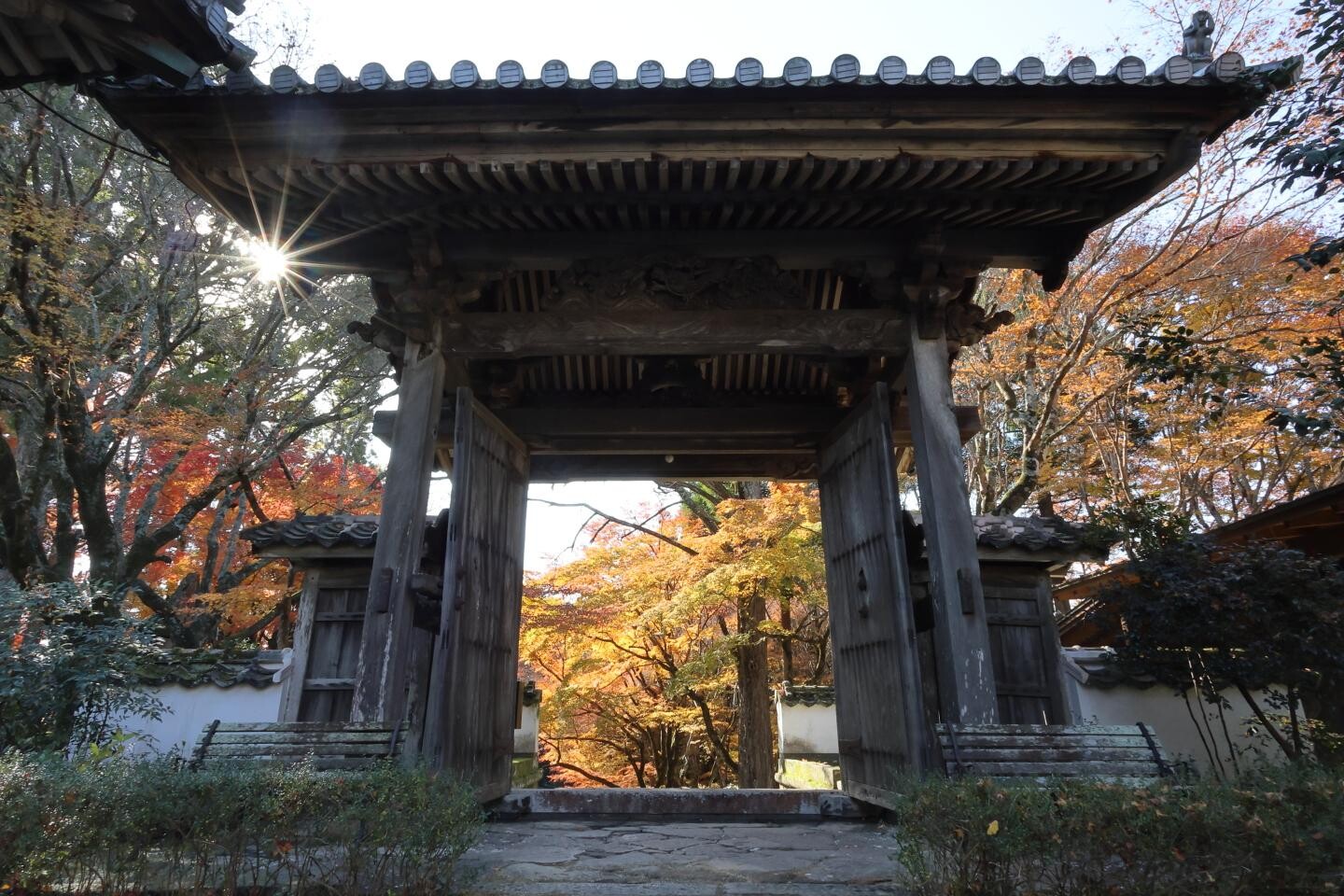 普現寺 阿蘇神社 / miippさんのその他の活動データ | YAMAP / ヤマップ