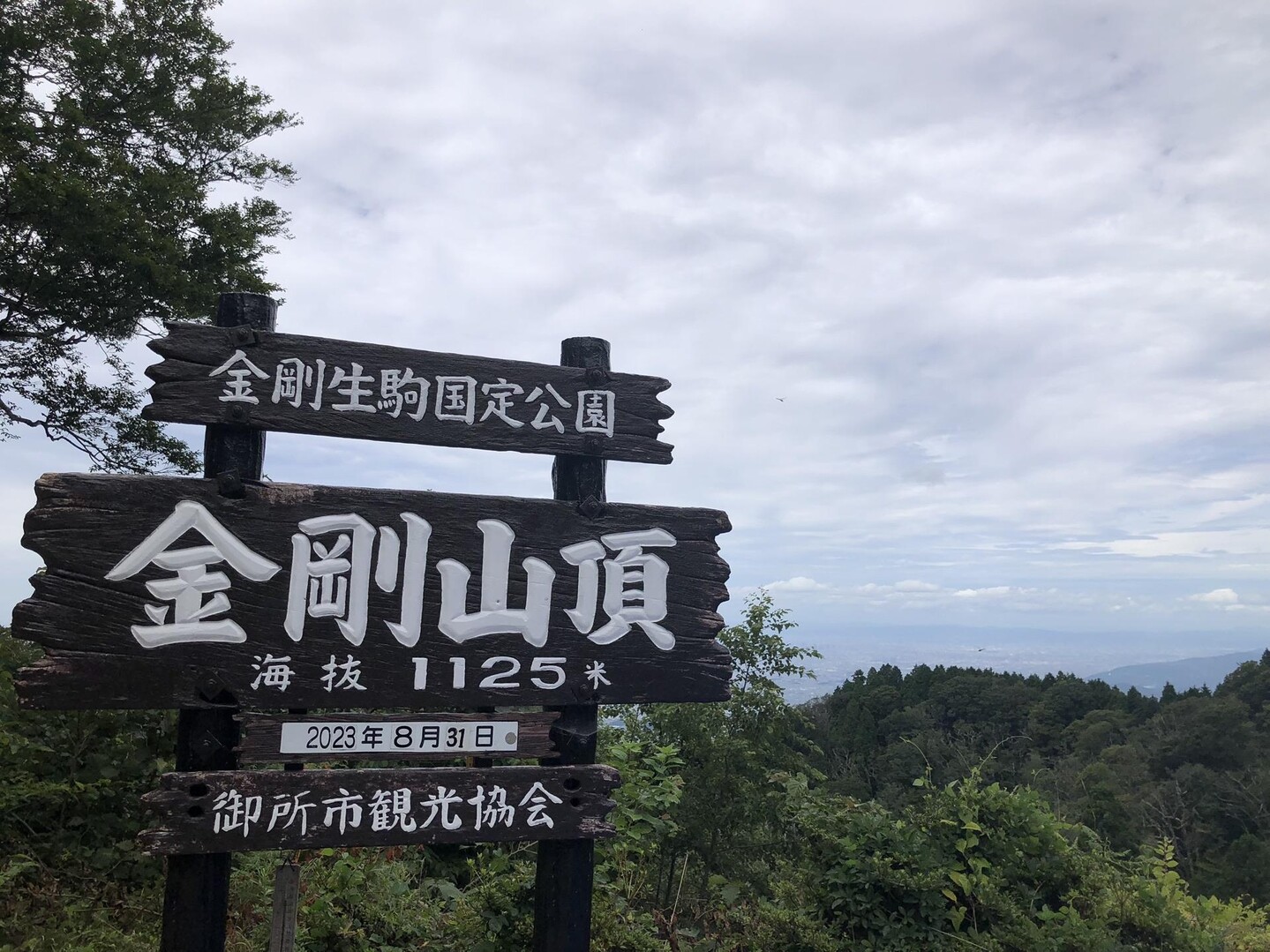 R5.8.31 金剛山 ⬆️⬇️千早本道 / のりさんの金剛山・二上山・大和葛城山の活動データ | YAMAP / ヤマップ