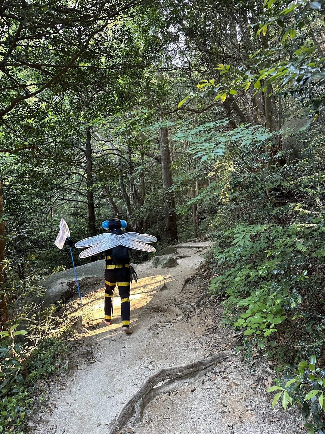 猿投神社⇄雲興寺18km / しのさんの猿投山・物見山の活動データ | YAMAP / ヤマップ