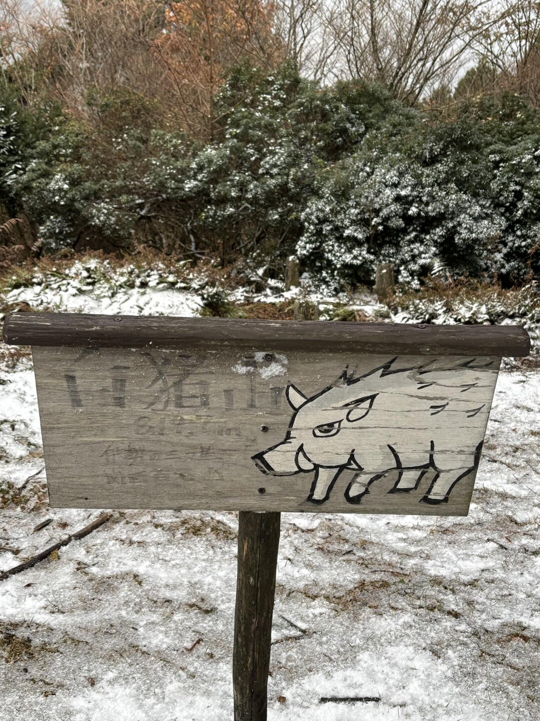 香肌イレブン：白猪山🐗🐗🐗 / Y's-G3さんの白猪山の活動データ | YAMAP / ヤマップ