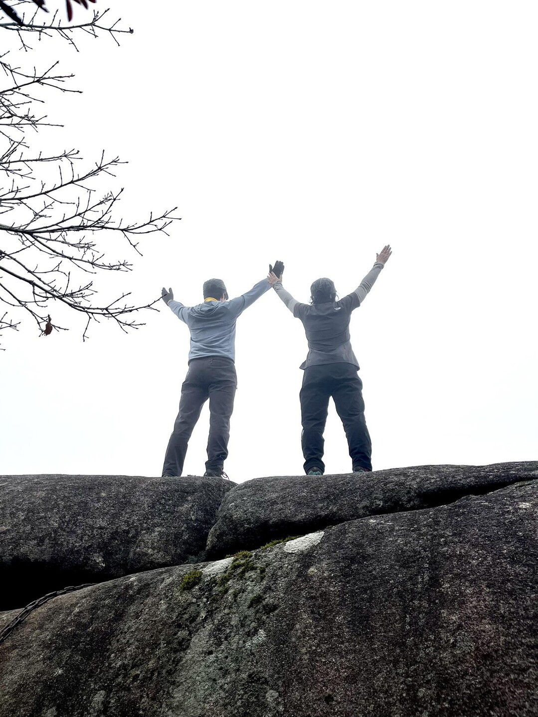 大滝根山 / mimosaさんの大滝根山の活動データ | YAMAP / ヤマップ