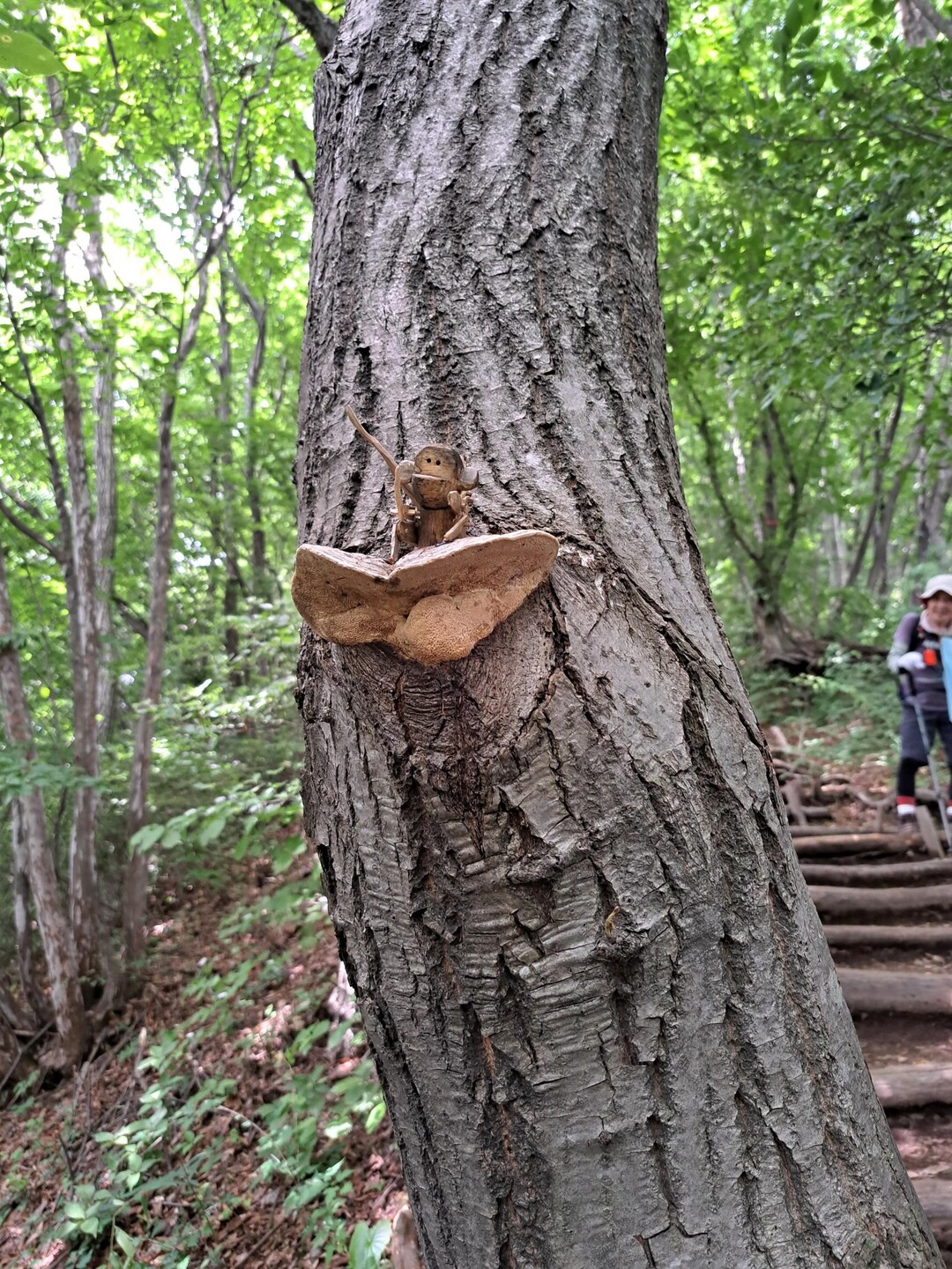 浅間山(水沢山)5 / ch!saさんの榛名山・天狗山・天目山の活動データ | YAMAP / ヤマップ