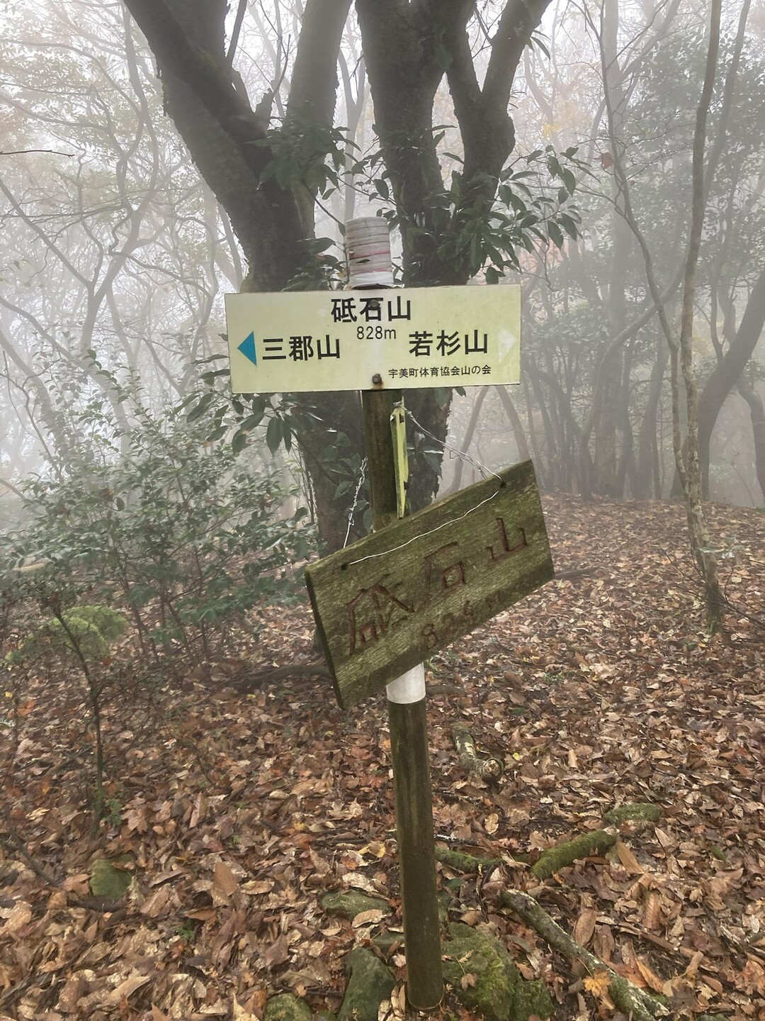 宝満-砥石山ボッカ①_20241117 / りゅうちゃんさんの宝満山・三郡山・若杉山の活動データ | YAMAP / ヤマップ