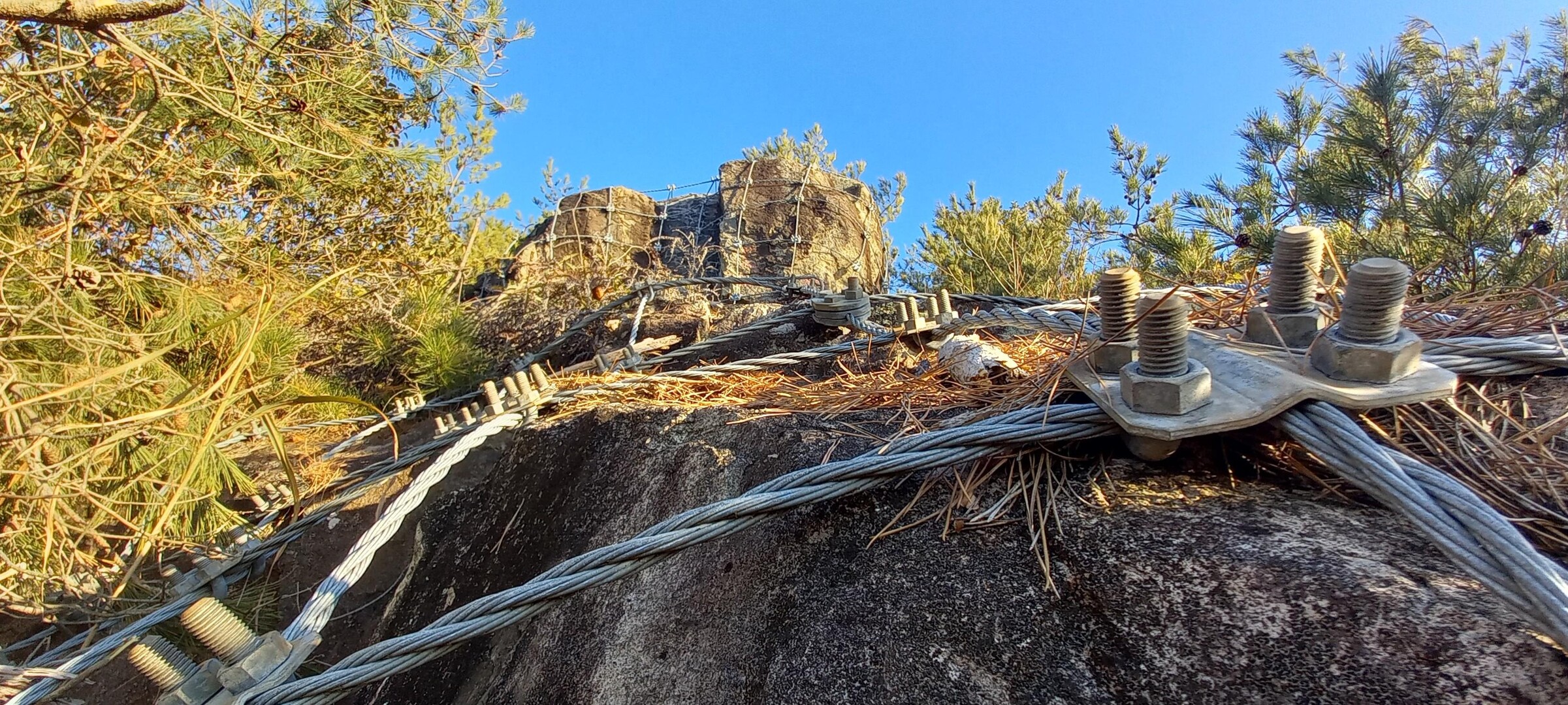 100年前の写真から始まった岩探し🔍️‼️ / akoh_jiさんの雄鷹台山の活動データ | YAMAP / ヤマップ