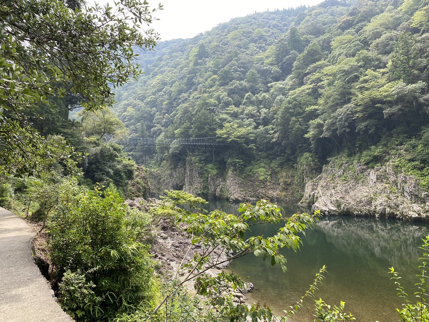 吊り橋 / Abu Tsubasaさんのモーメント | YAMAP / ヤマップ