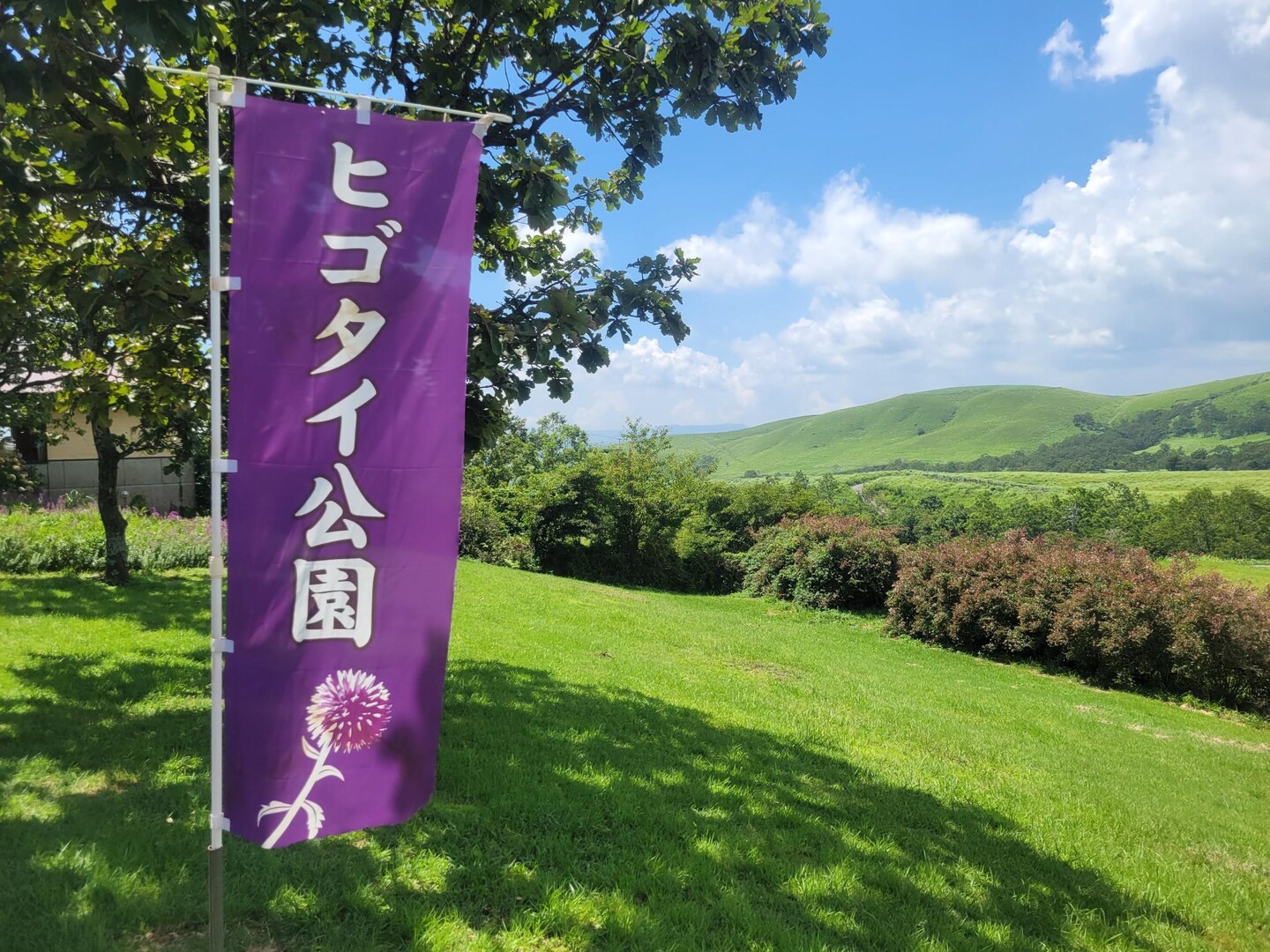 牧の戸の帰りに温泉入ってヒゴタイ公園へ ... / ヤマしんSP🌾さんのモーメント | YAMAP / ヤマップ