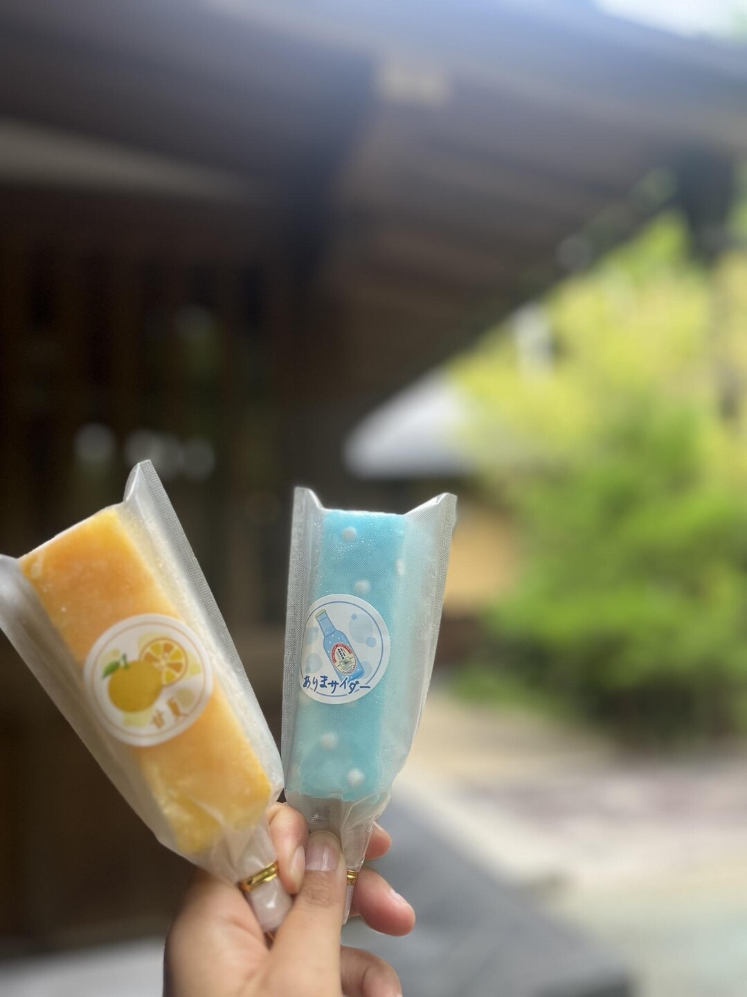 六甲山から有馬温泉 / kuu-nyanさんの六甲山・長峰山・摩耶山の活動データ | YAMAP / ヤマップ