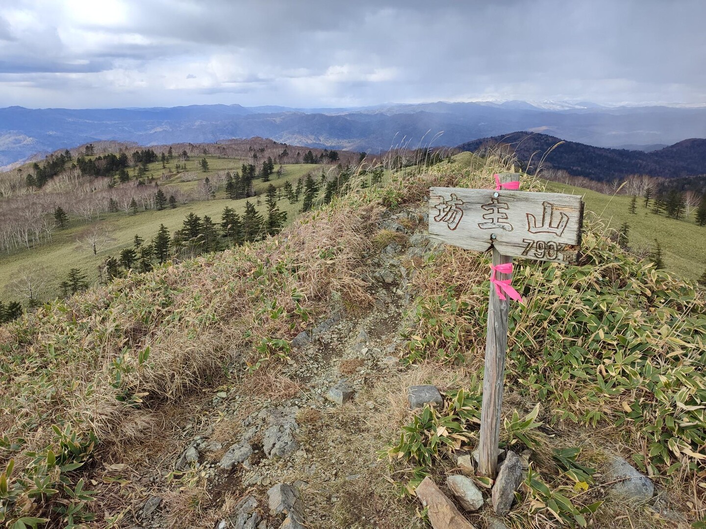 坊主山 / てるやんさんの坊主山の活動データ | YAMAP / ヤマップ