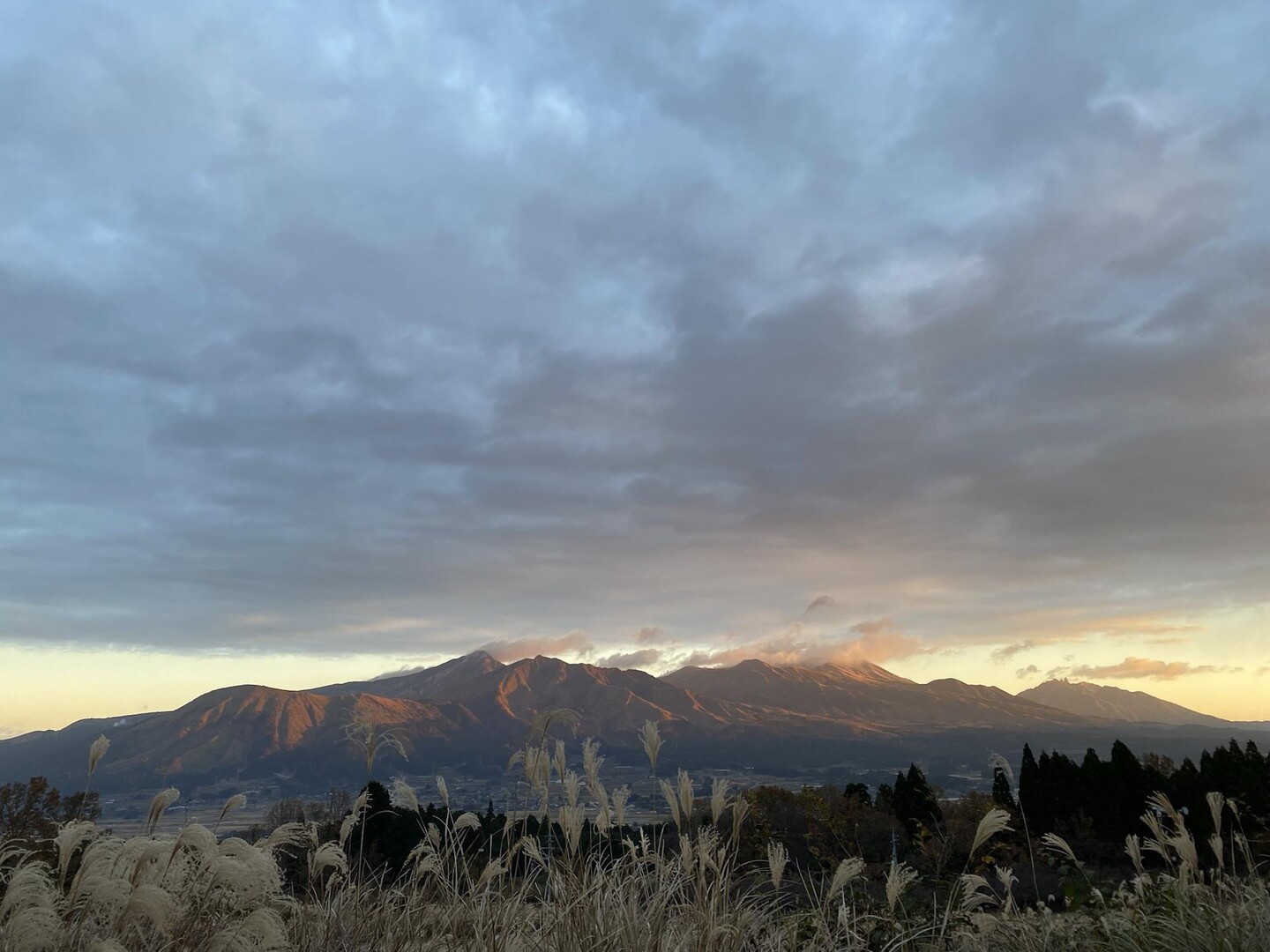 南阿蘇カルデラトレイル30k 冬2024 / katakananoeさんの南阿蘇カルデラトレイルの活動データ | YAMAP / ヤマップ
