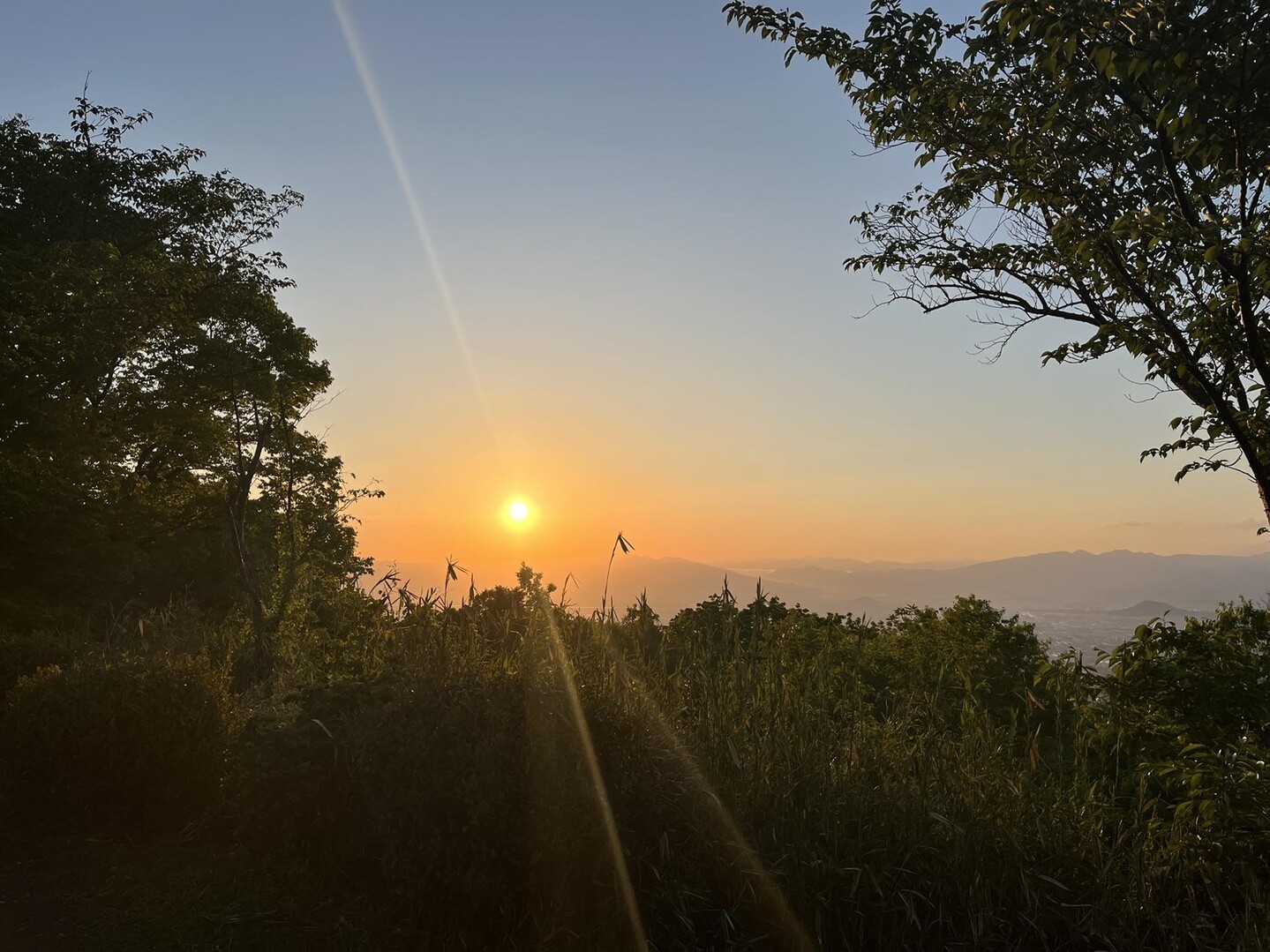 二上山（雌岳）日の出を見に / makiさんの金剛山・二上山・大和葛城山の活動データ | YAMAP / ヤマップ