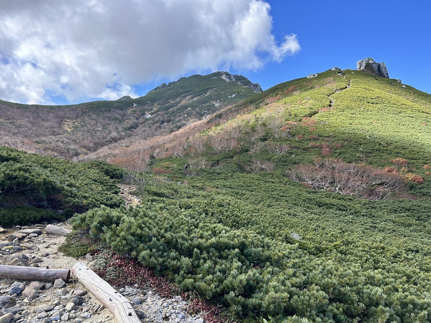 ヨナ沢の頭・空木岳・池山 / kaizaさんの木曽駒ヶ岳・空木岳・越百山の活動データ | YAMAP / ヤマップ