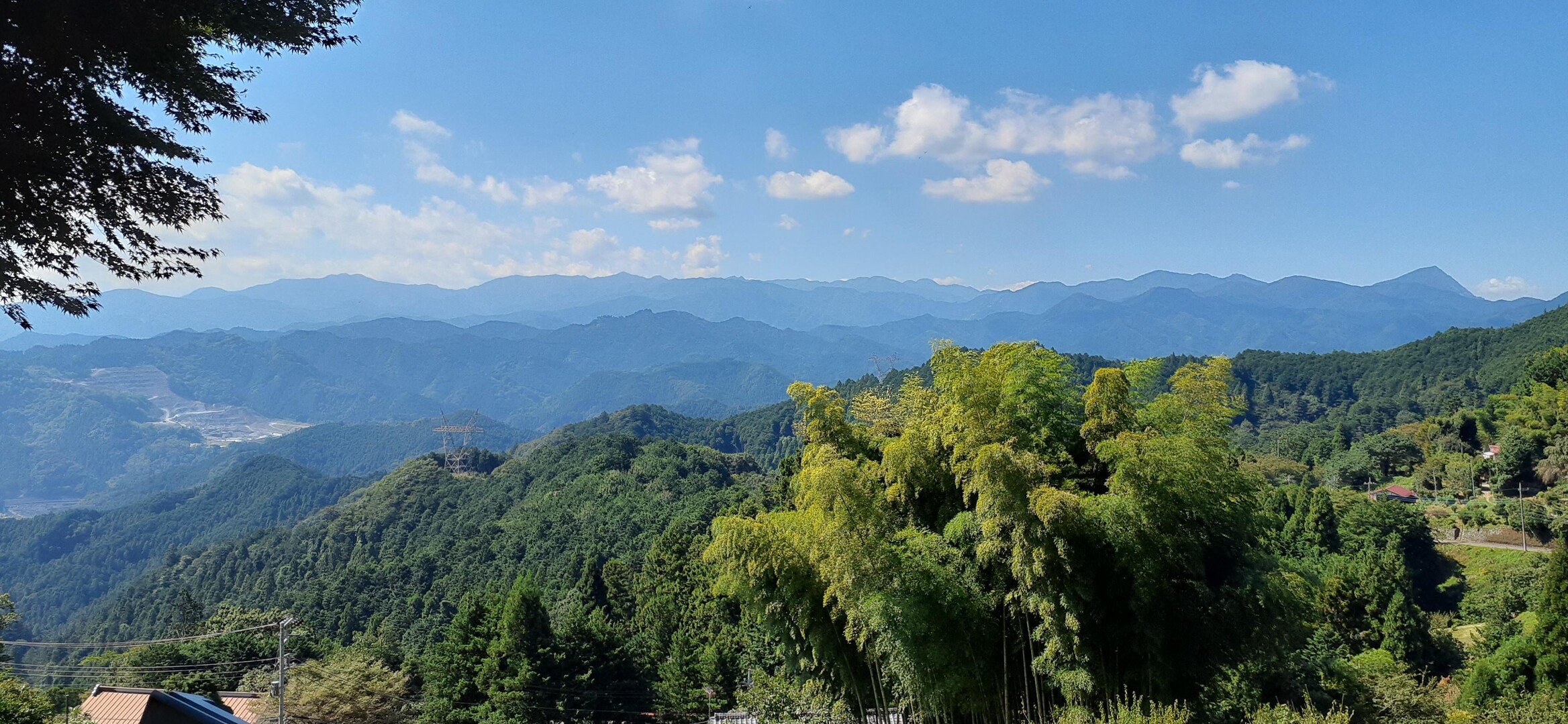 風は秋色 / もりどんさんの天覧山・多峯主山・天覚山の活動データ | YAMAP / ヤマップ