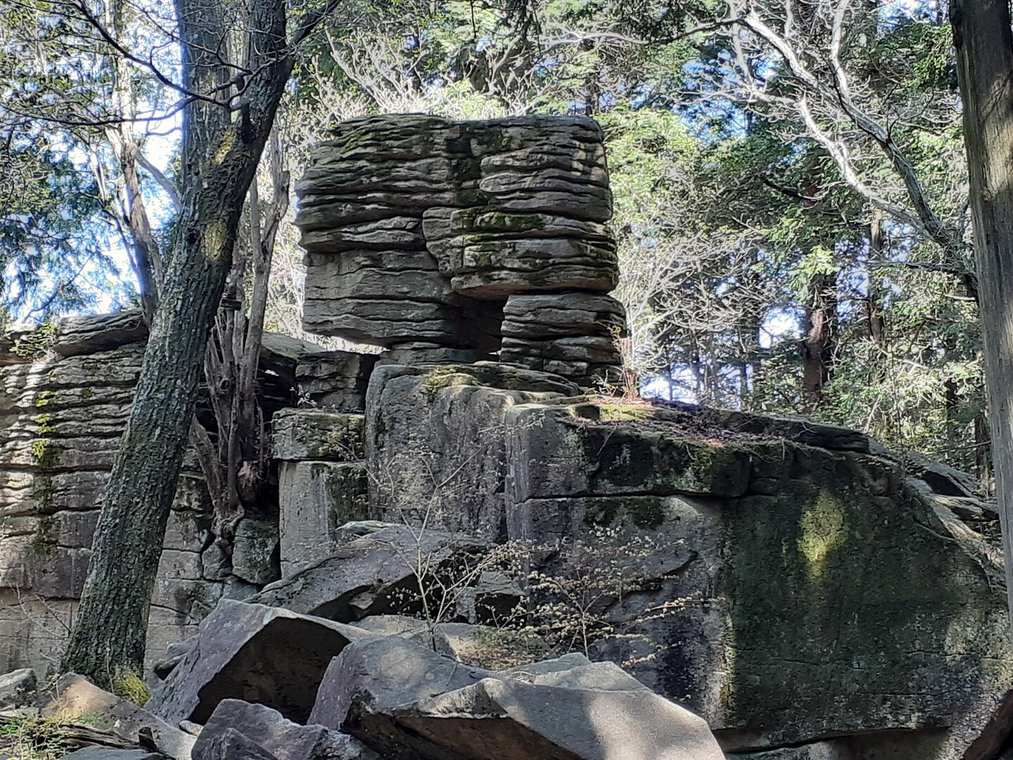 DSHさんの投稿したフィールドメモ | YAMAP / ヤマップ