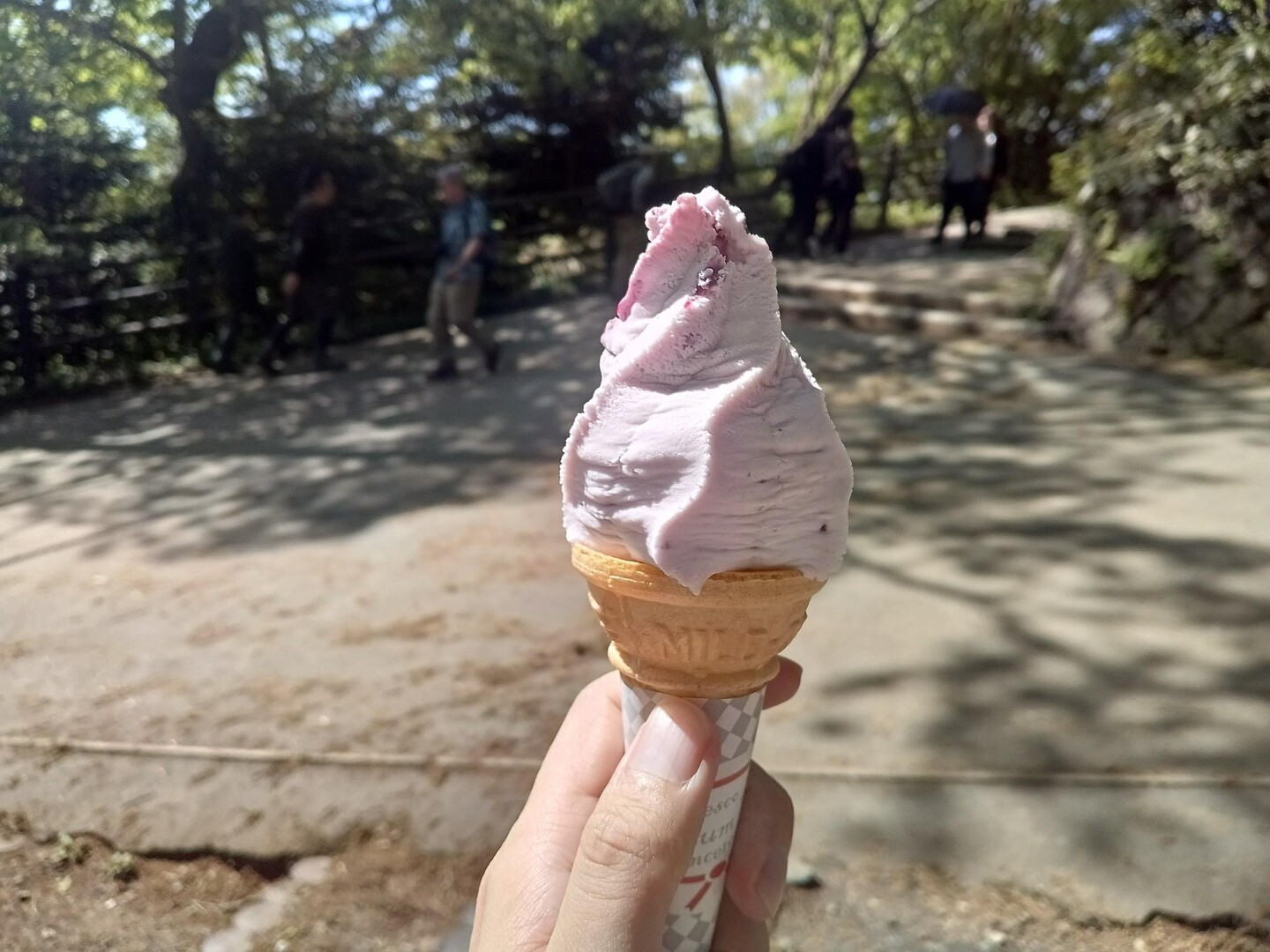 高尾山でボランティア / sa-sho-さんの高尾山・陣馬山・景信山の活動データ | YAMAP / ヤマップ