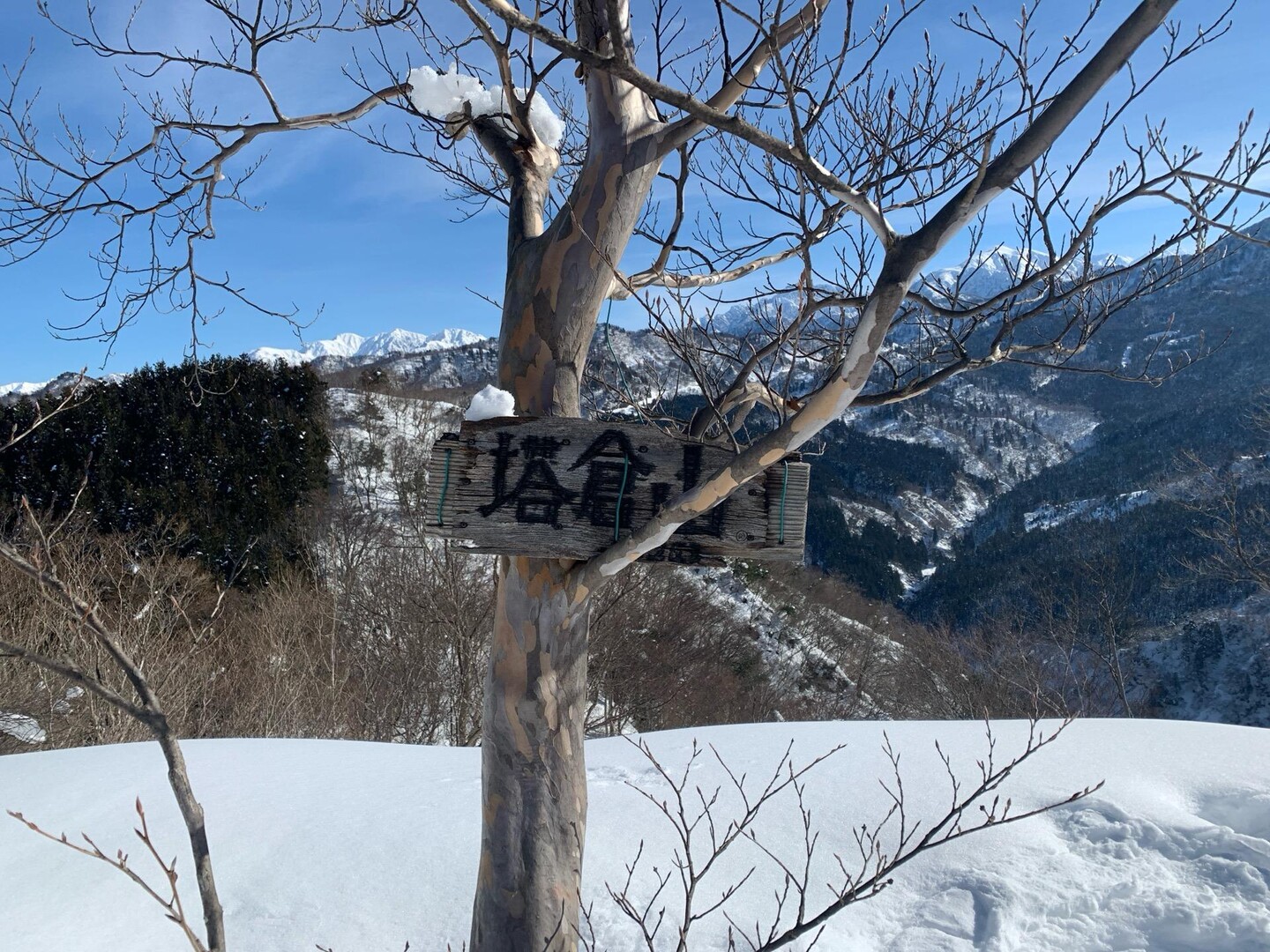 塔倉山 / yoshiさんの塔倉山の活動日記 | YAMAP / ヤマップ