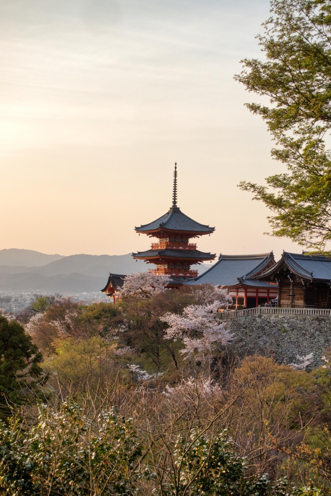 いつもお世話になっております。そろそろ終... / persさんのモーメント | YAMAP / ヤマップ