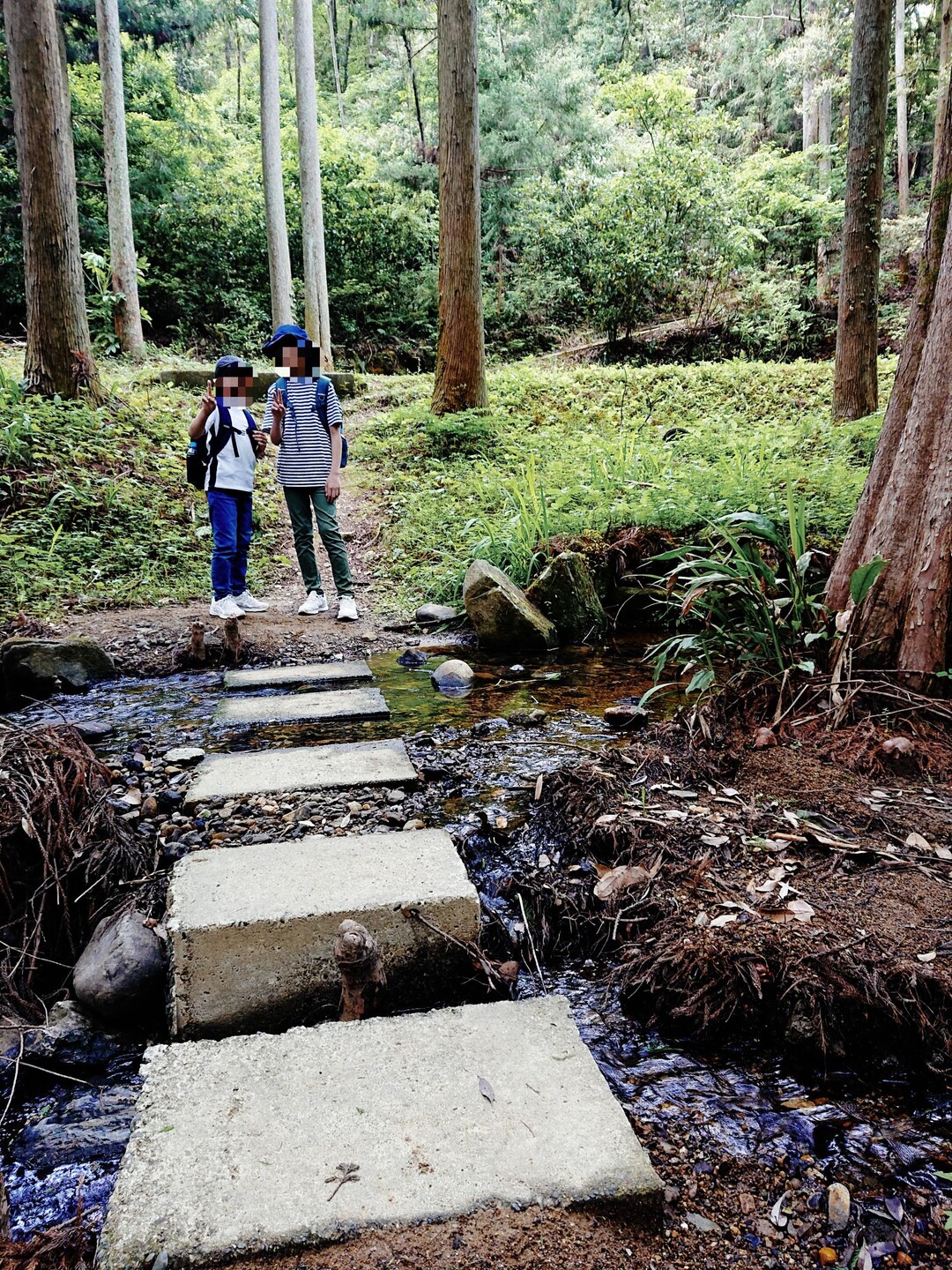 静岡県立森林公園@浜松 今週末は雨で登れ... / so-sukeさんのモーメント | YAMAP / ヤマップ