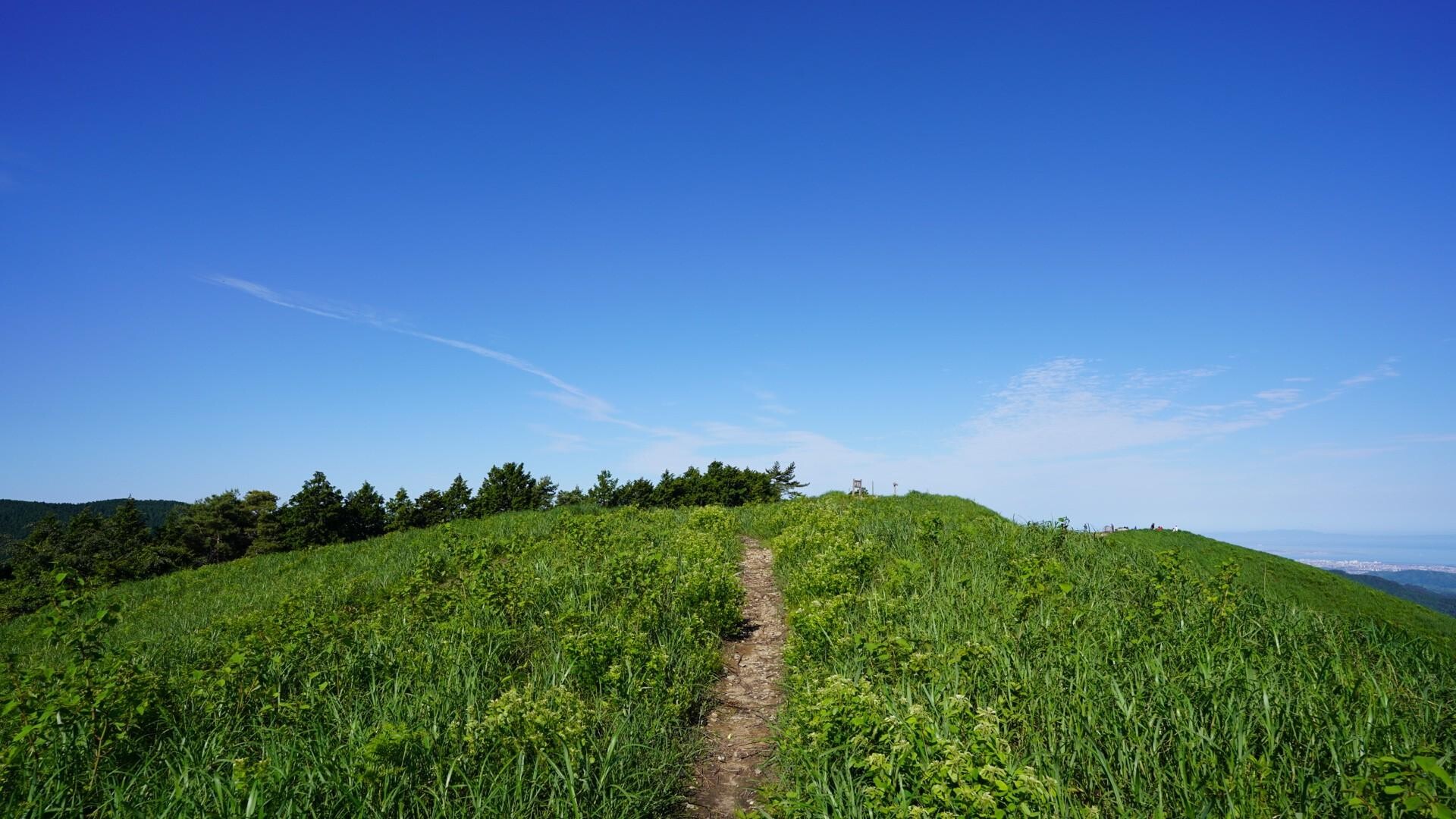 岩湧山2023.6.4 いわわきの道 / ENAJIさんの岩湧山・一徳防山・三石山の活動データ | YAMAP / ヤマップ