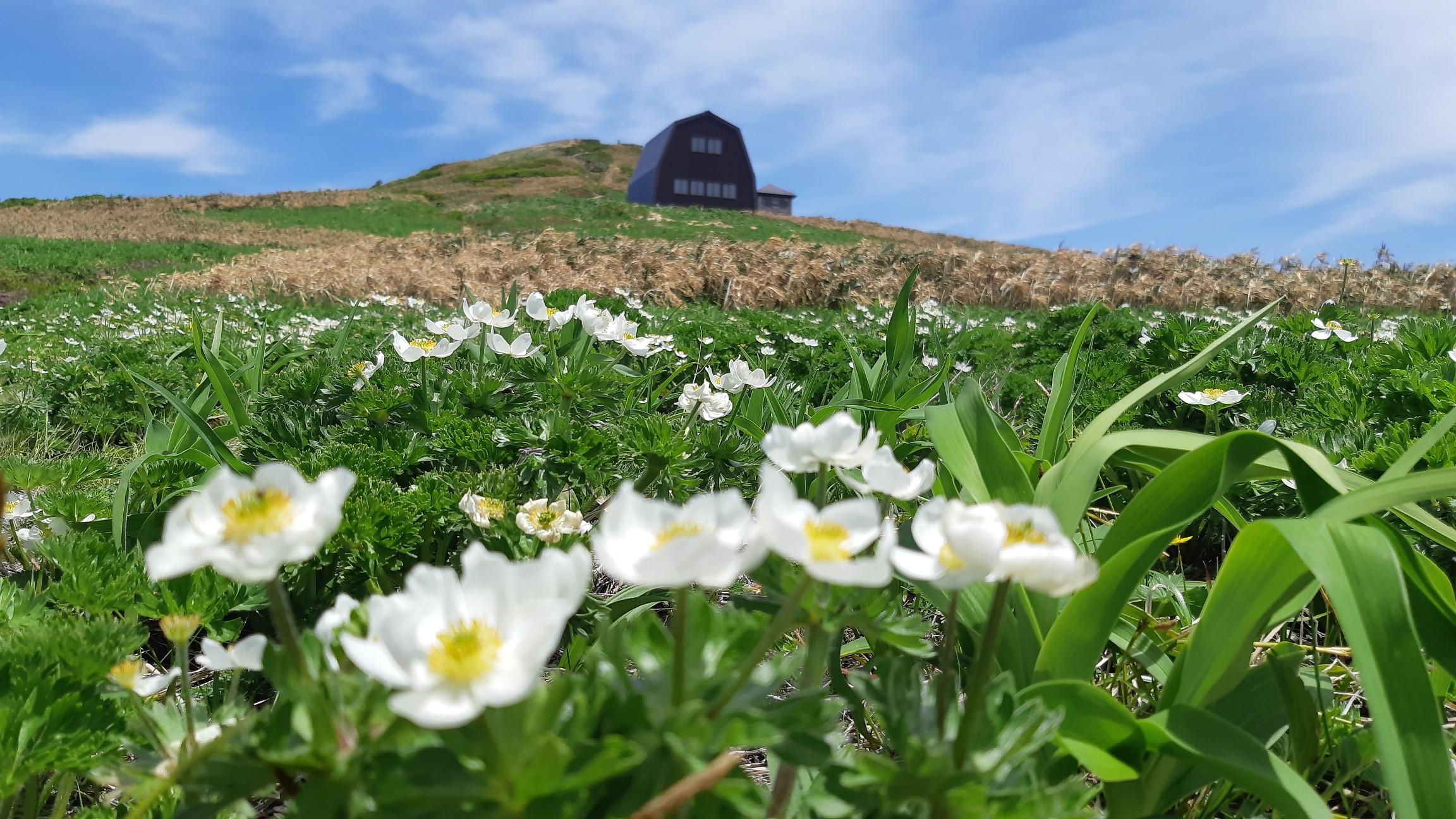 2024-6-6、えぶり差岳、大石コースTRY💦 / ラムネさんの朳差岳・鉾立峰・大石山の活動データ | YAMAP / ヤマップ