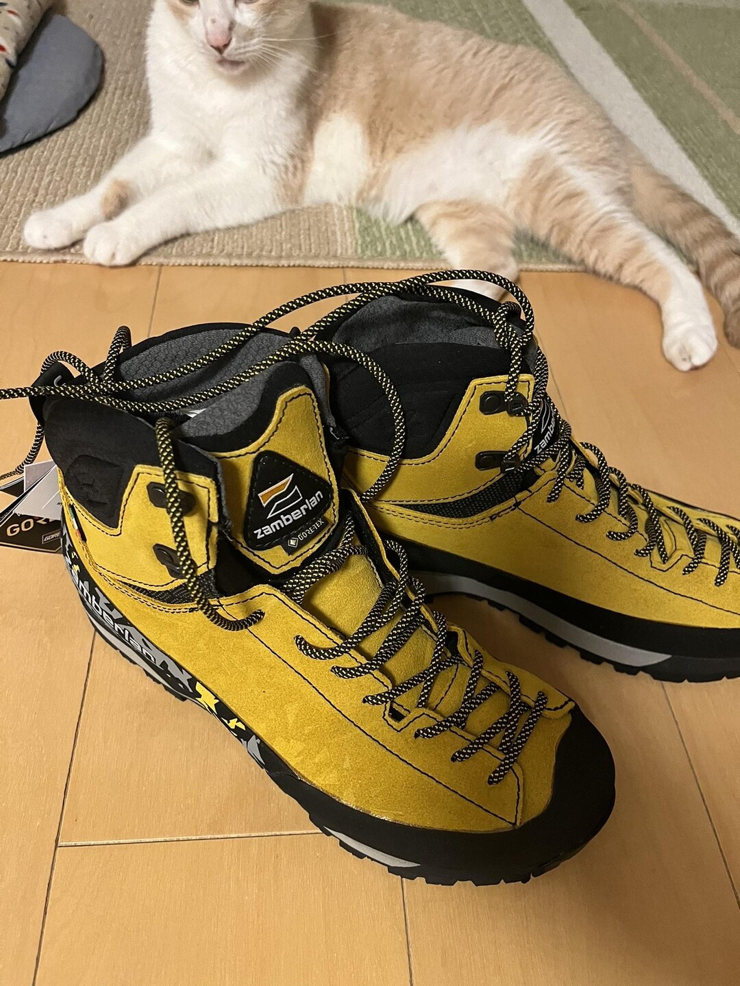 三年前に買った靴のソールがよく見たらボロ... / junnnnさんのモーメント | YAMAP / ヤマップ