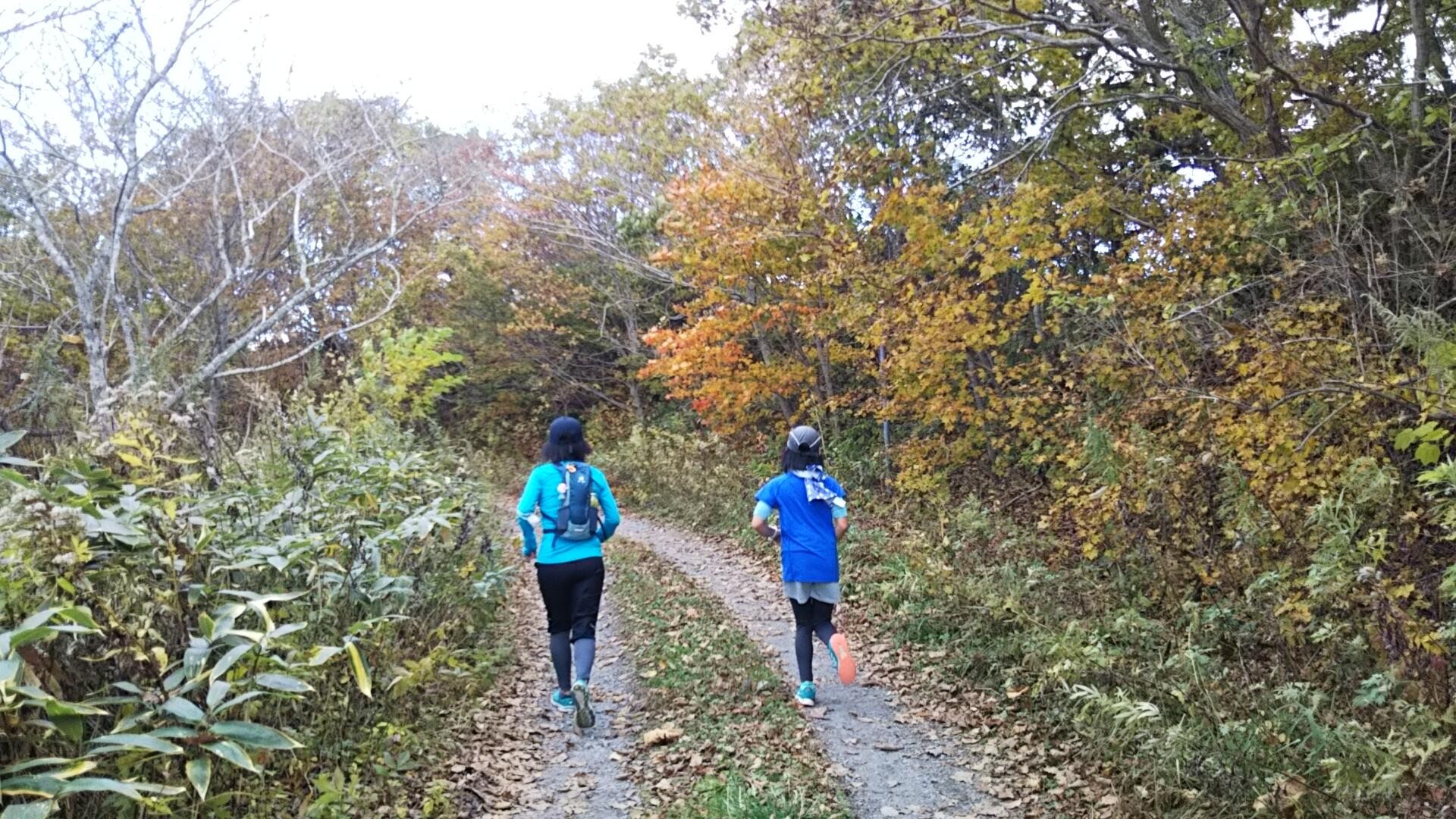 函館山JOG🏃😼👧2 / keiさんの函館山の活動データ | YAMAP / ヤマップ