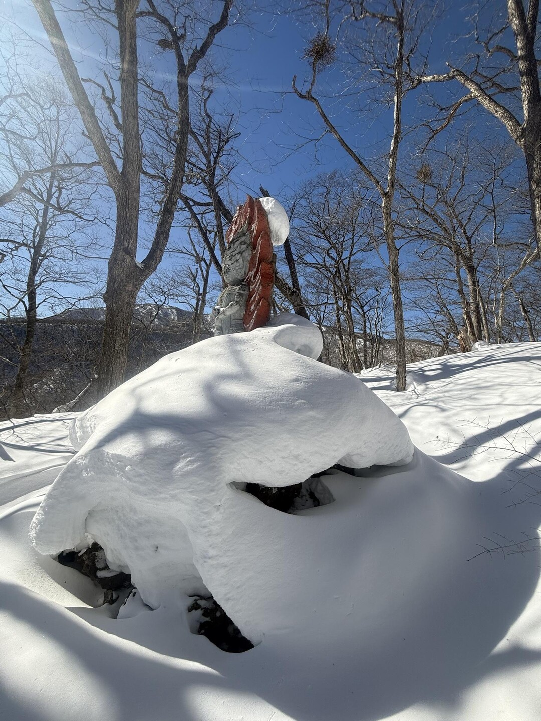 冬の蔵王古道スノーハイク2025 《お不... / やまうちPさんのモーメント | YAMAP / ヤマップ