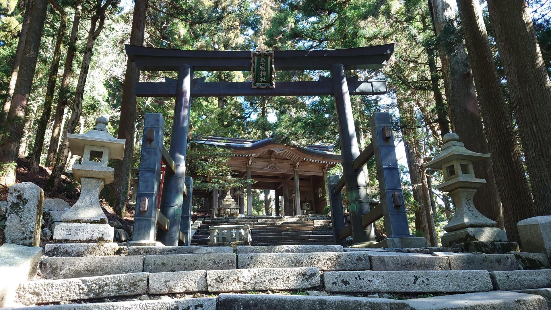 愛宕山 / ネナシグサさんの愛宕山・三頭山・朝日峯の活動データ | YAMAP / ヤマップ