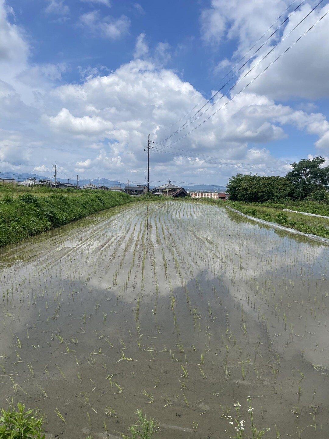 本日も自宅から奈良市までの山辺の道27k... / MKさんのモーメント | YAMAP / ヤマップ