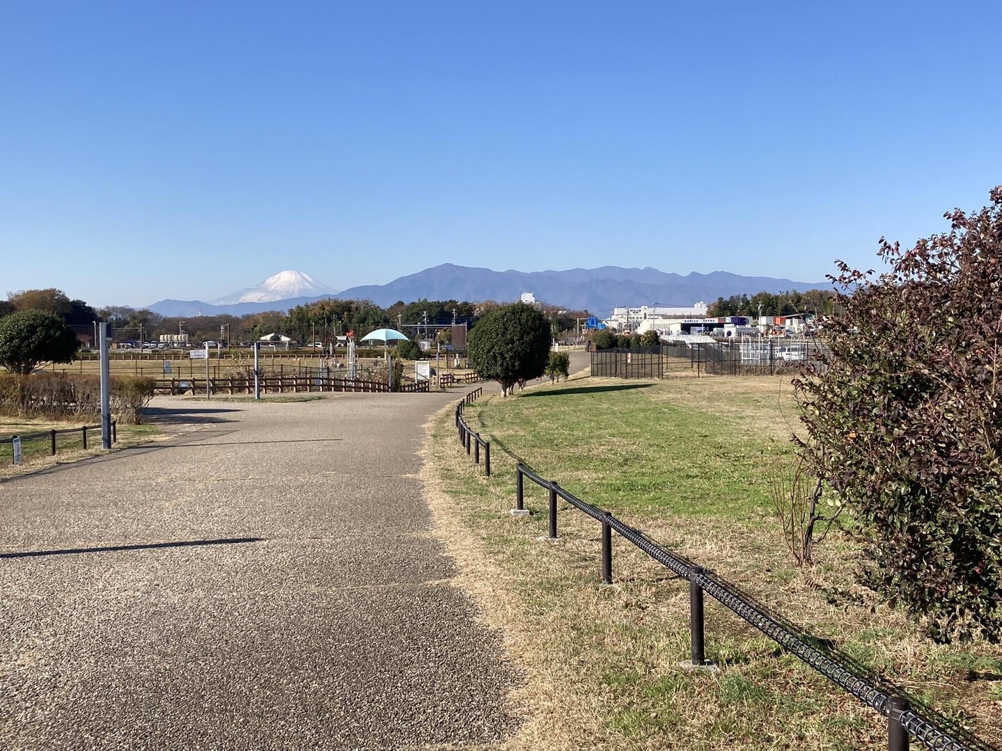 中原街道5日目-2022-12-10 / Aokatiさんのウォーキングの活動データ | YAMAP / ヤマップ