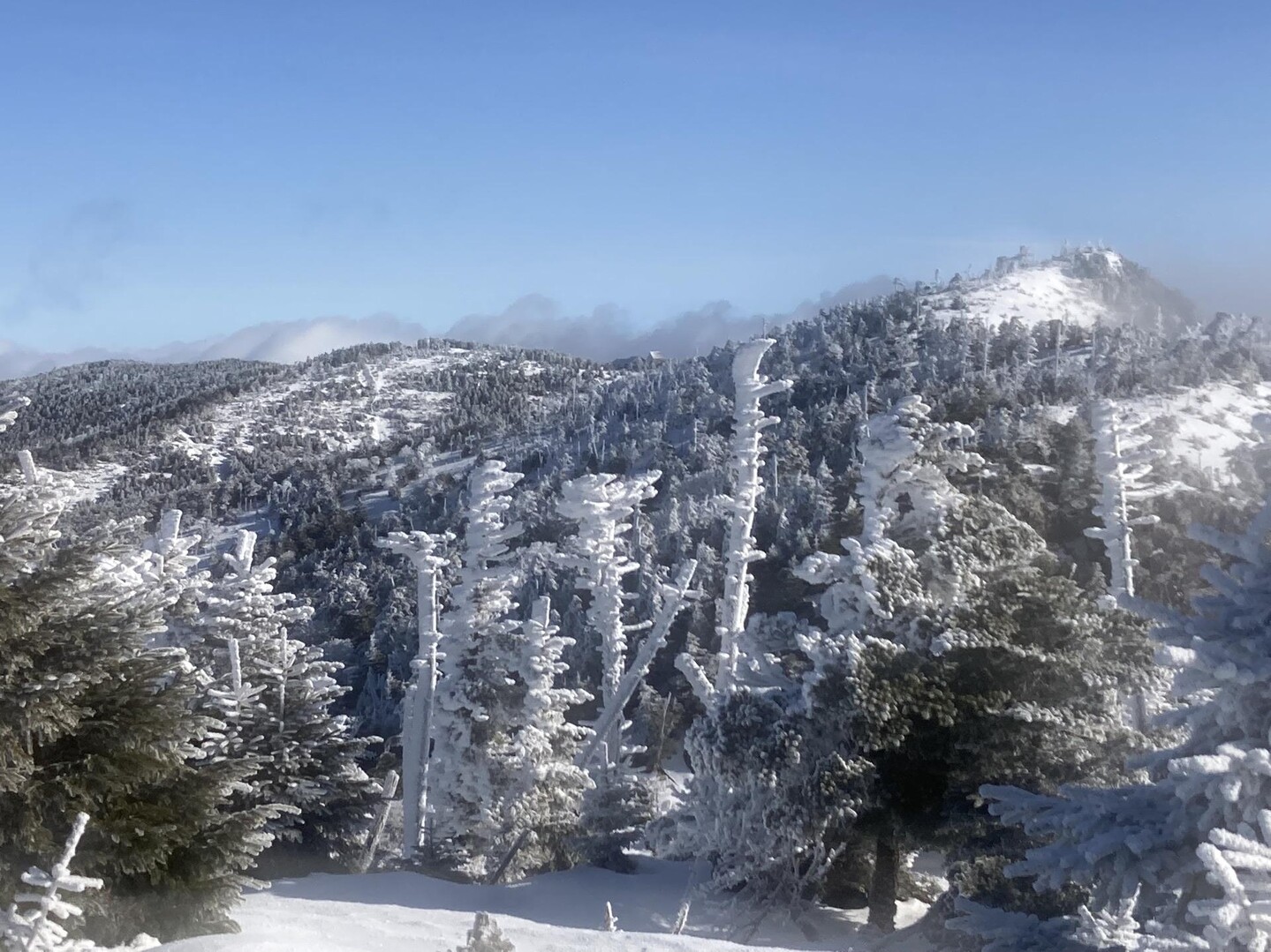 白銀の明星・八経・弥山周回 / akimetalさんの八経ヶ岳の活動データ | YAMAP / ヤマップ