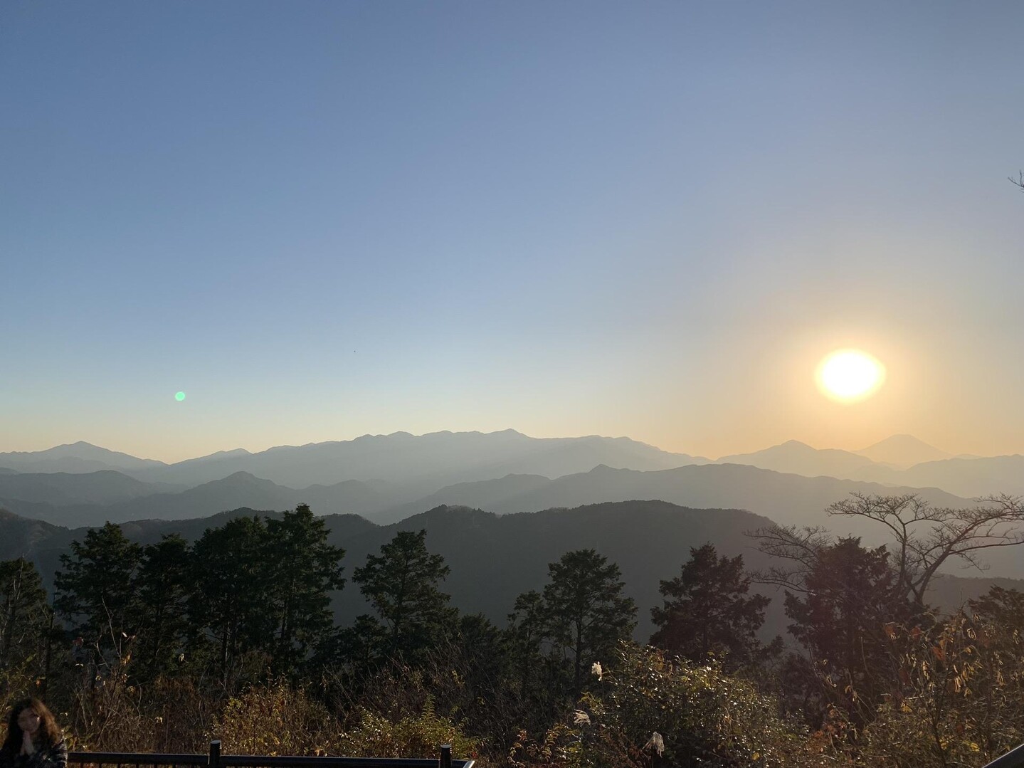 高尾山(6号路～1号路) / Highwindさんの高尾山・陣馬山・景信山の活動データ | YAMAP / ヤマップ