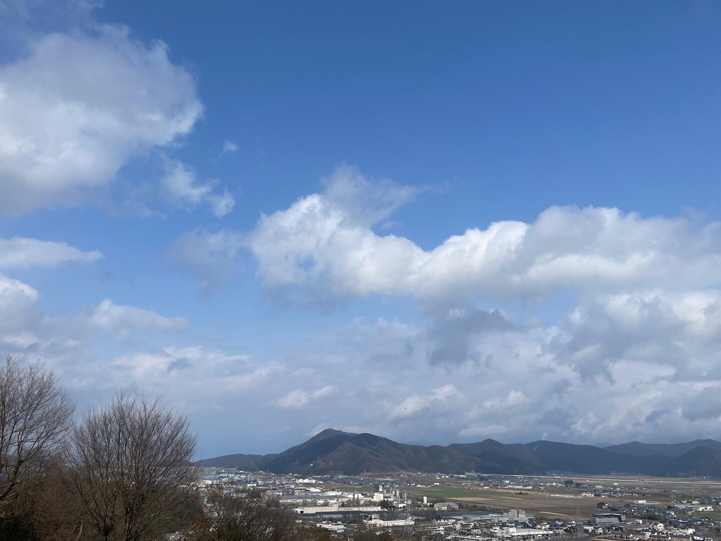 JOG太郎中年の事件簿‼️ / JOG太郎さんの長泉寺山の活動データ | YAMAP / ヤマップ