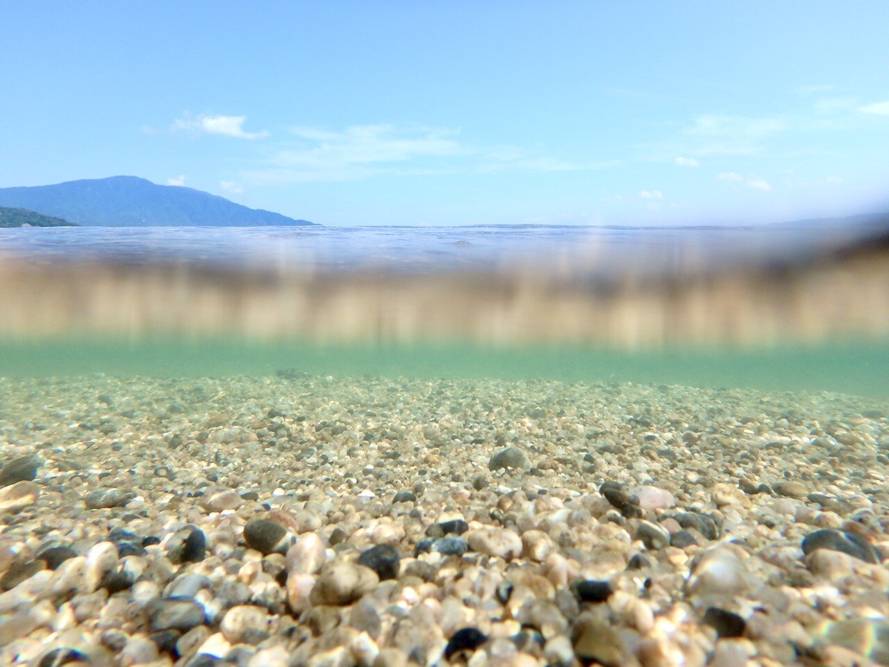 星を楽しみながら岩籠山～野坂岳を通してみ... / Lacbleuさんのモーメント | YAMAP / ヤマップ