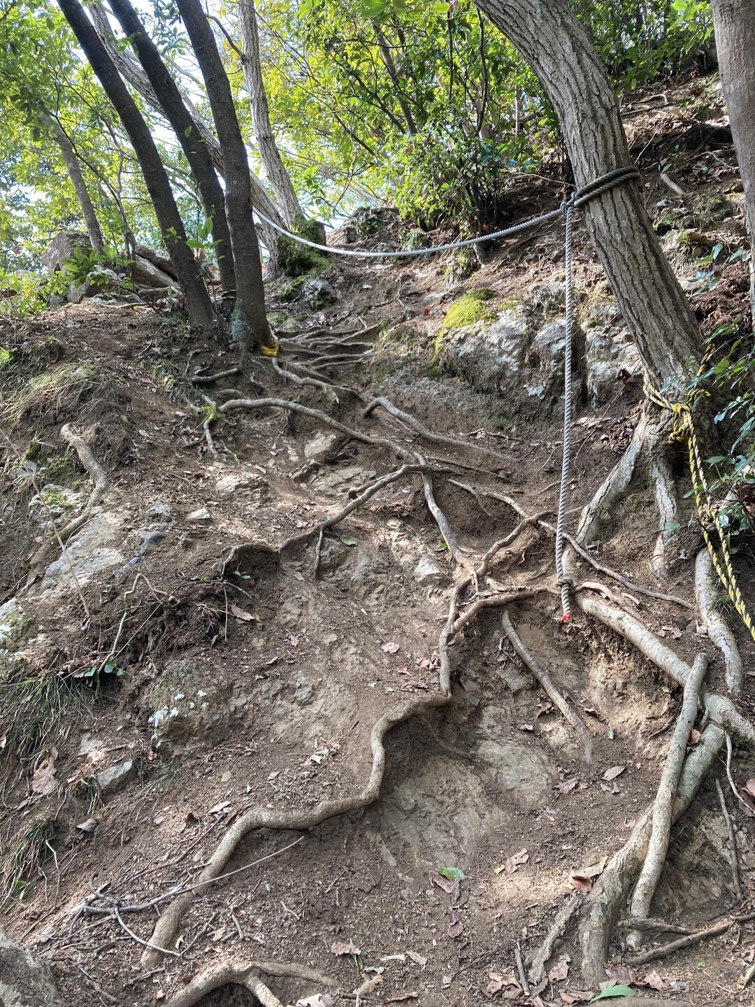 smashaceさんの投稿したフィールドメモ | YAMAP / ヤマップ