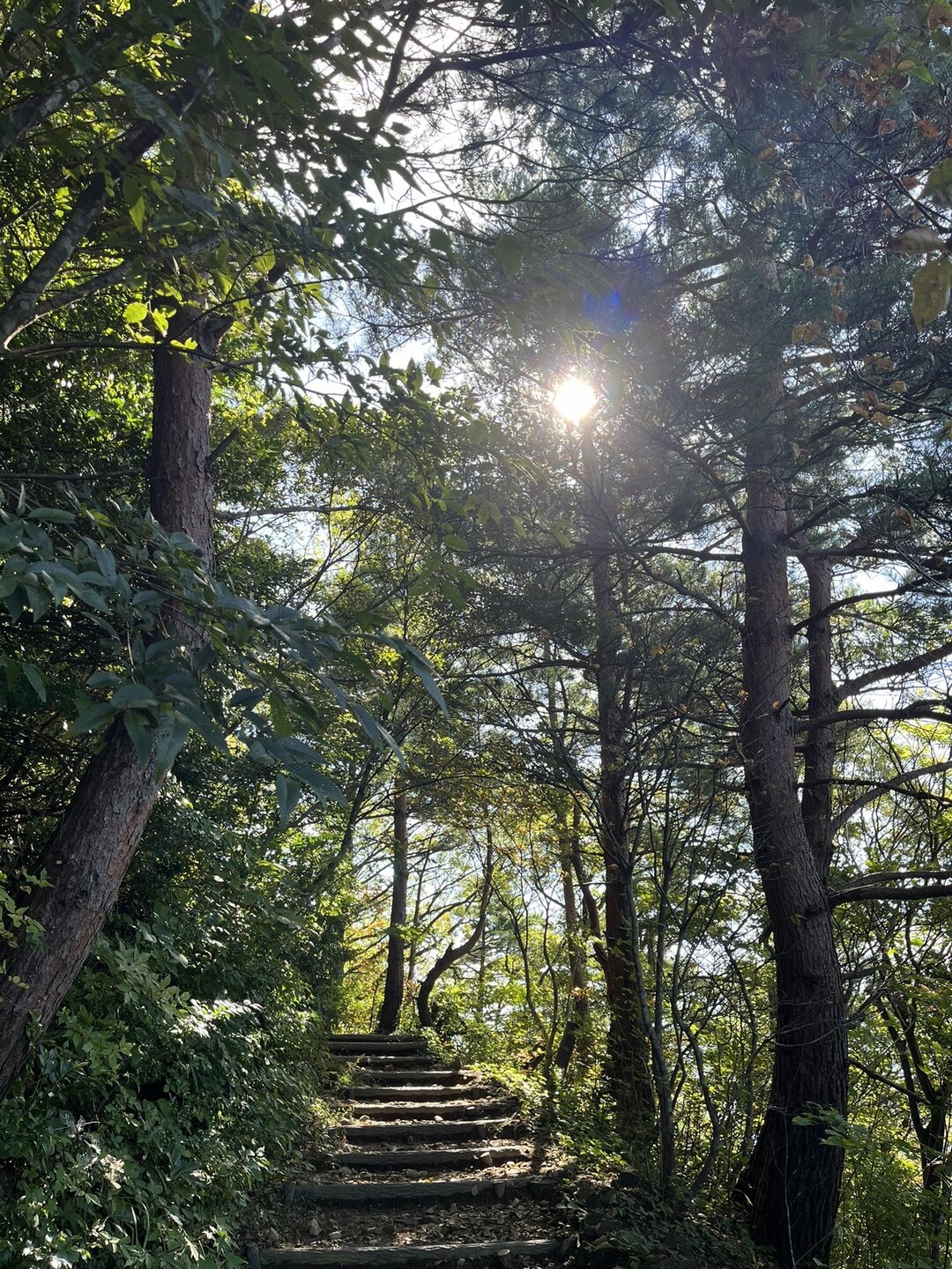 尖山 241013 32回目 / ヒロさんの尖山の活動データ | YAMAP / ヤマップ