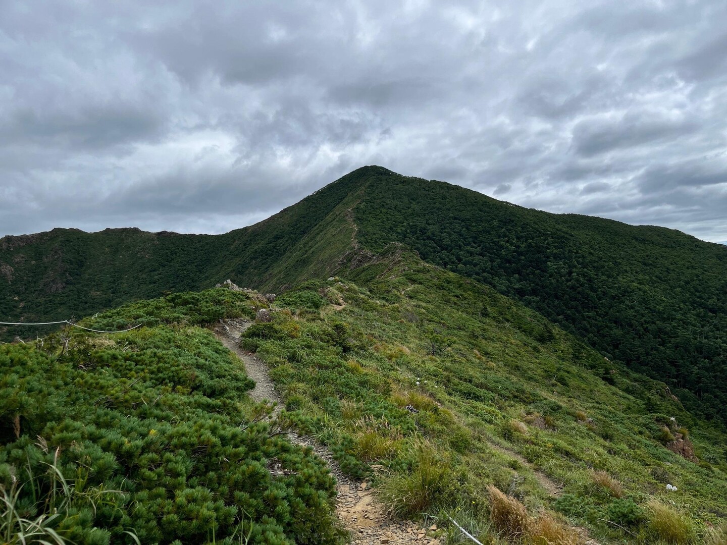 アポイ岳 山全体が橄欖岩 / Mas. Tさんのアポイ岳の活動データ | YAMAP / ヤマップ