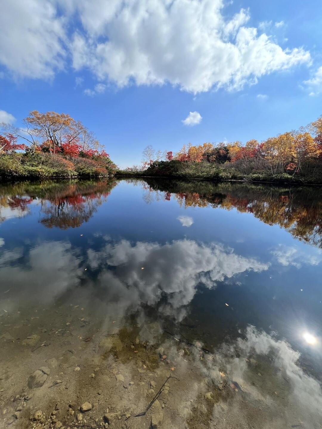 大雪高原温泉沼めぐり-2022-10-02 / mikiさんの大雪山系・旭岳・トムラウシの活動データ | YAMAP / ヤマップ