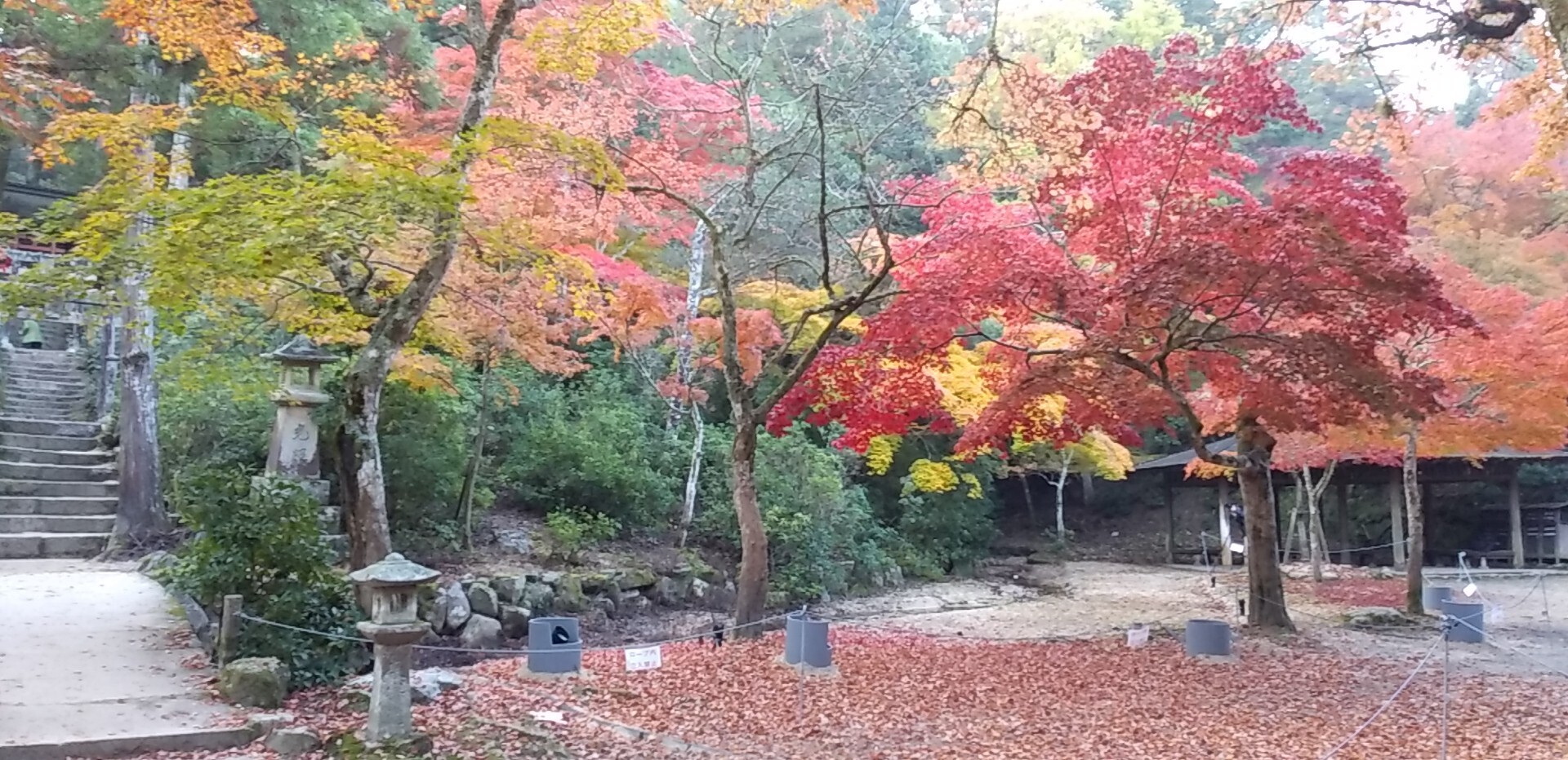 要害山・弥山 / koushoさんの宮島（厳島）・弥山の活動データ | YAMAP / ヤマップ