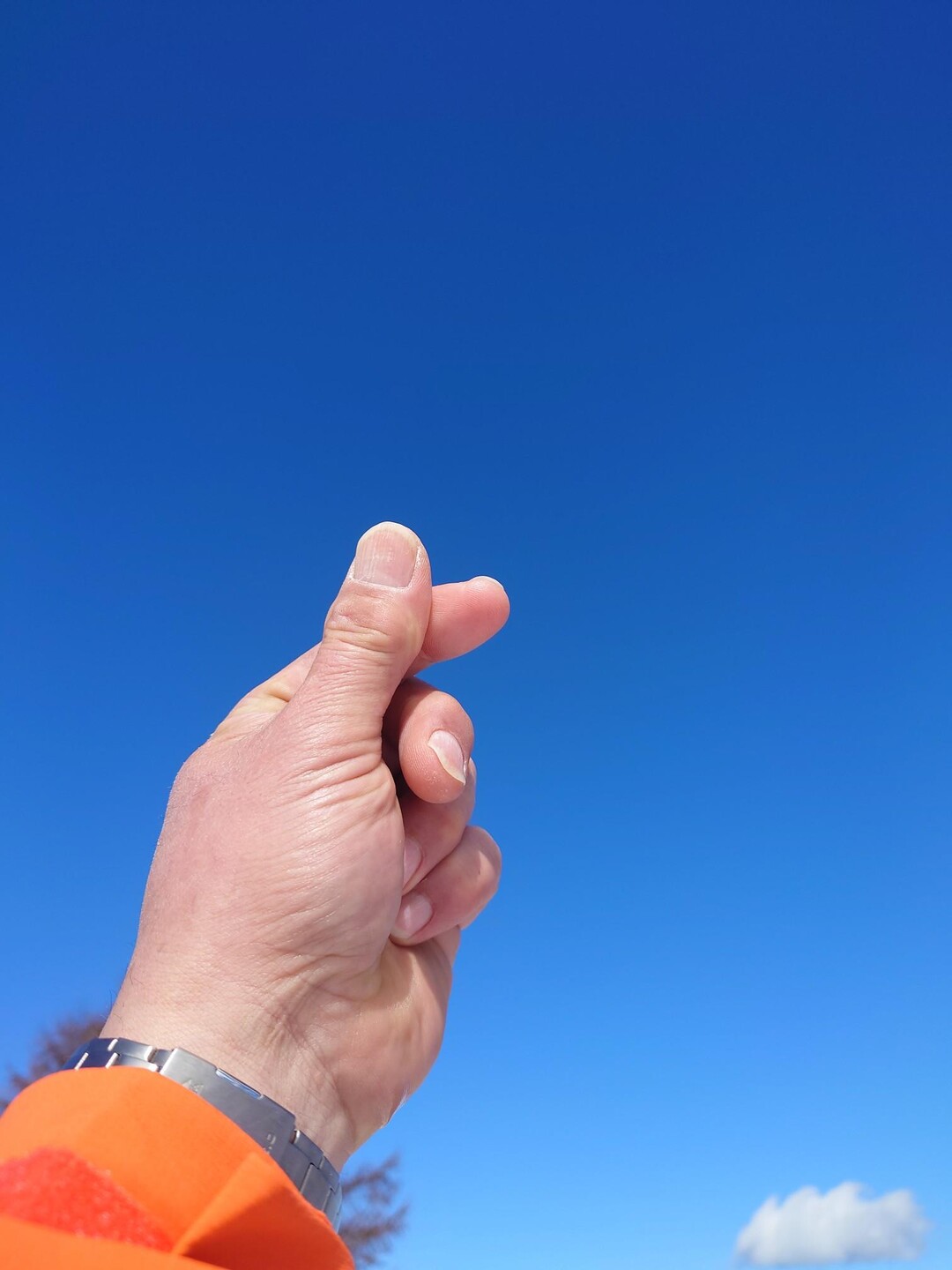 蛇峠山〜PANORAMA〜 / marzさんの蛇峠山の活動データ | YAMAP / ヤマップ