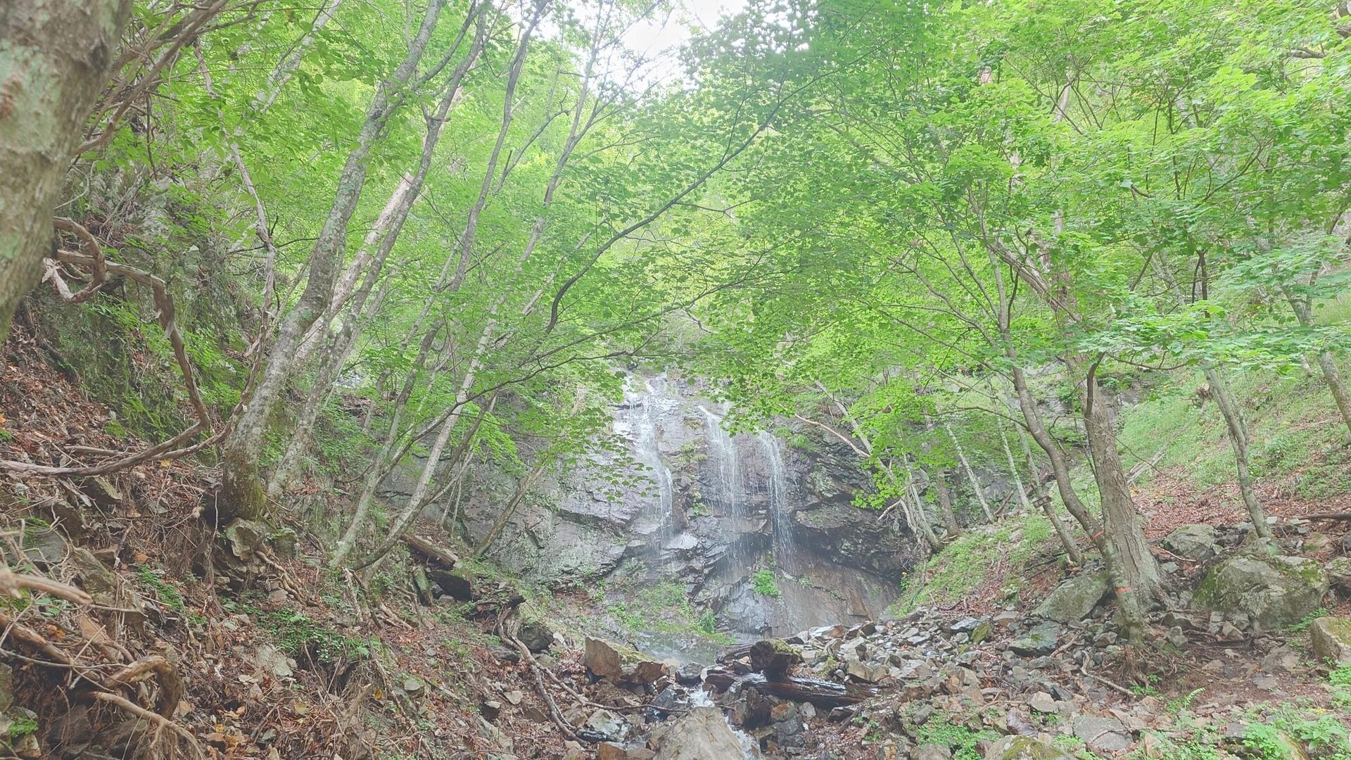 読み方は「おぐら」山。御座山 / s_nakanoさんの御座山の活動データ | YAMAP / ヤマップ